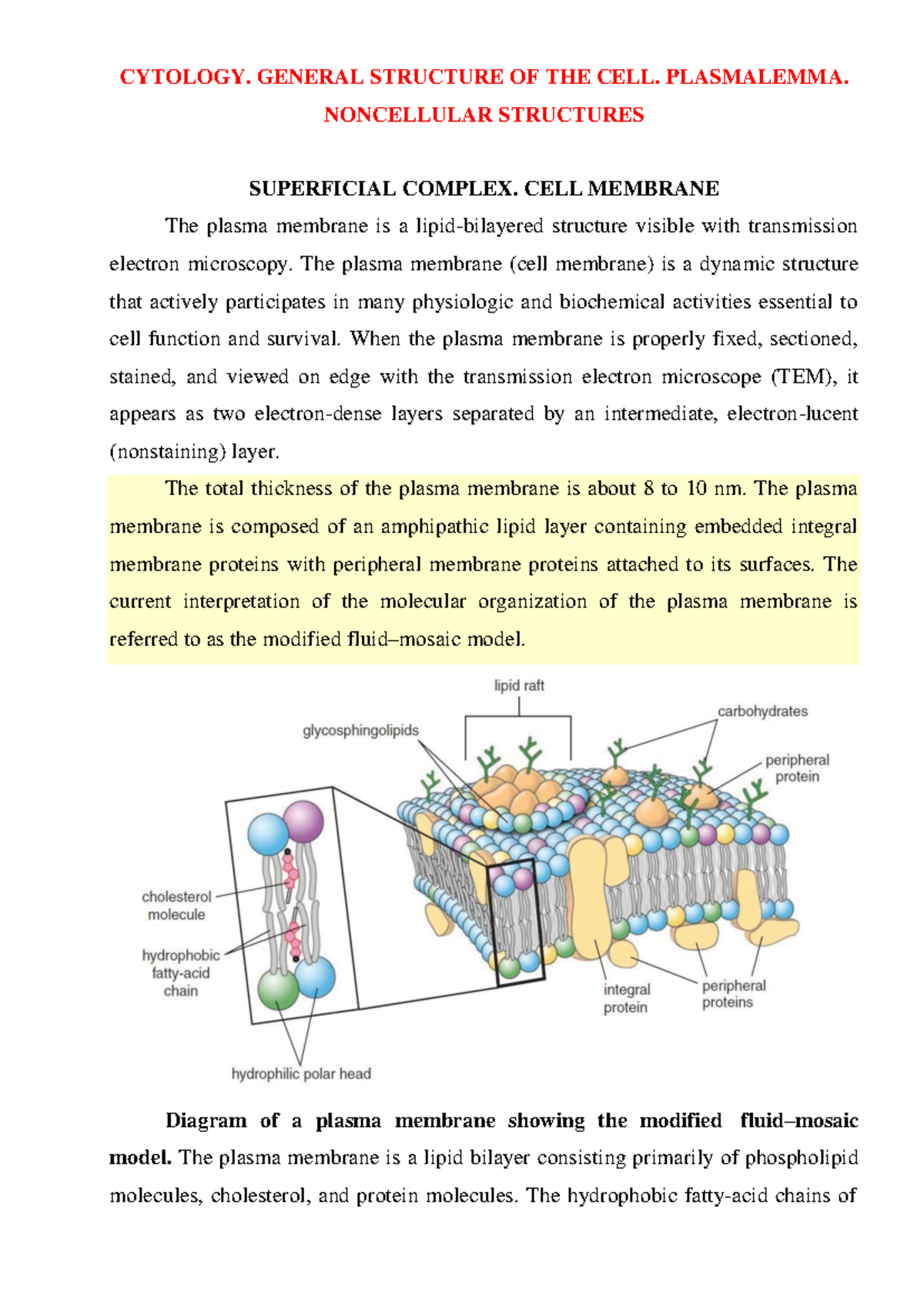 02 Cytology. General structure of the cell. Plasmalemma. Noncellular ...