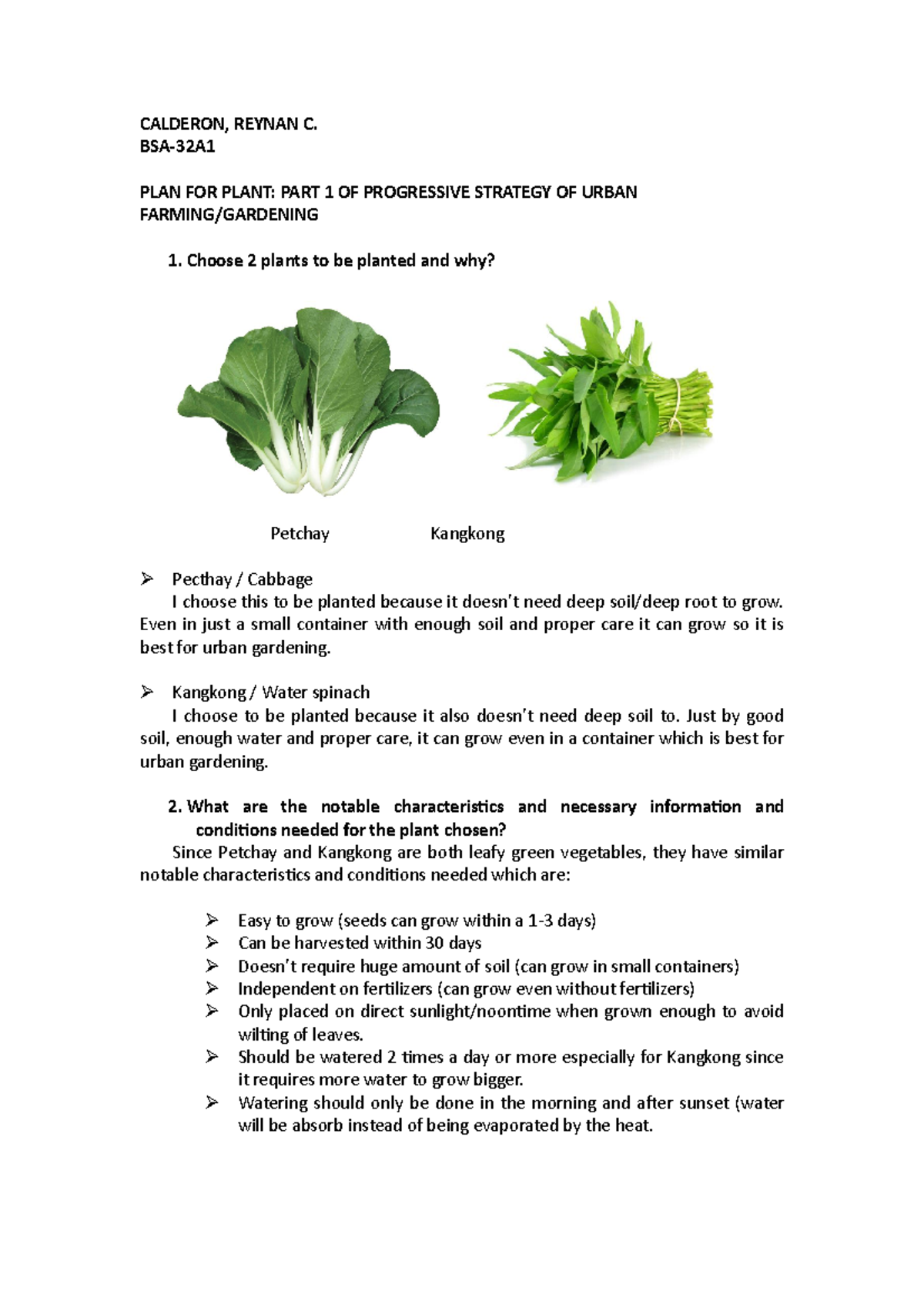 Calderon, Reynan C. BSA-32A1 Ncst003 Urban Farming - CALDERON, REYNAN C ...