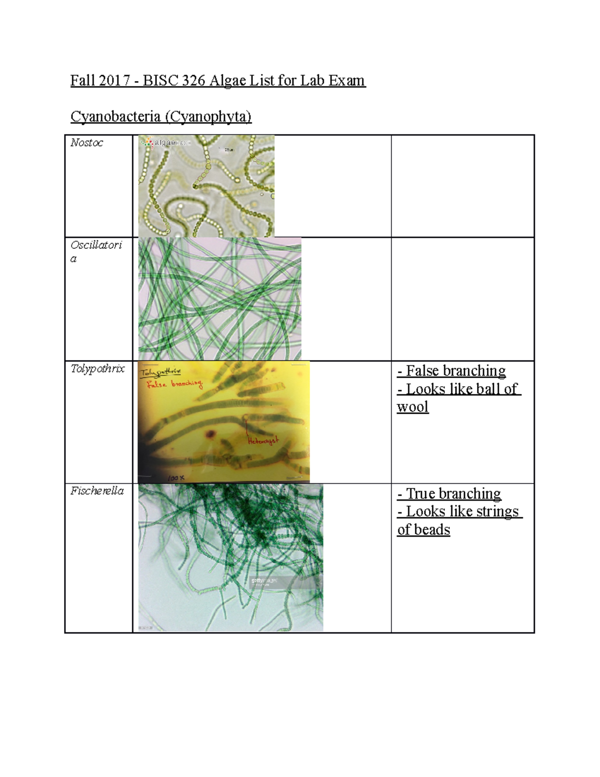 BISC 326 - 2017 Algae List - Fall 2017 - BISC 326 Algae List for Lab ...