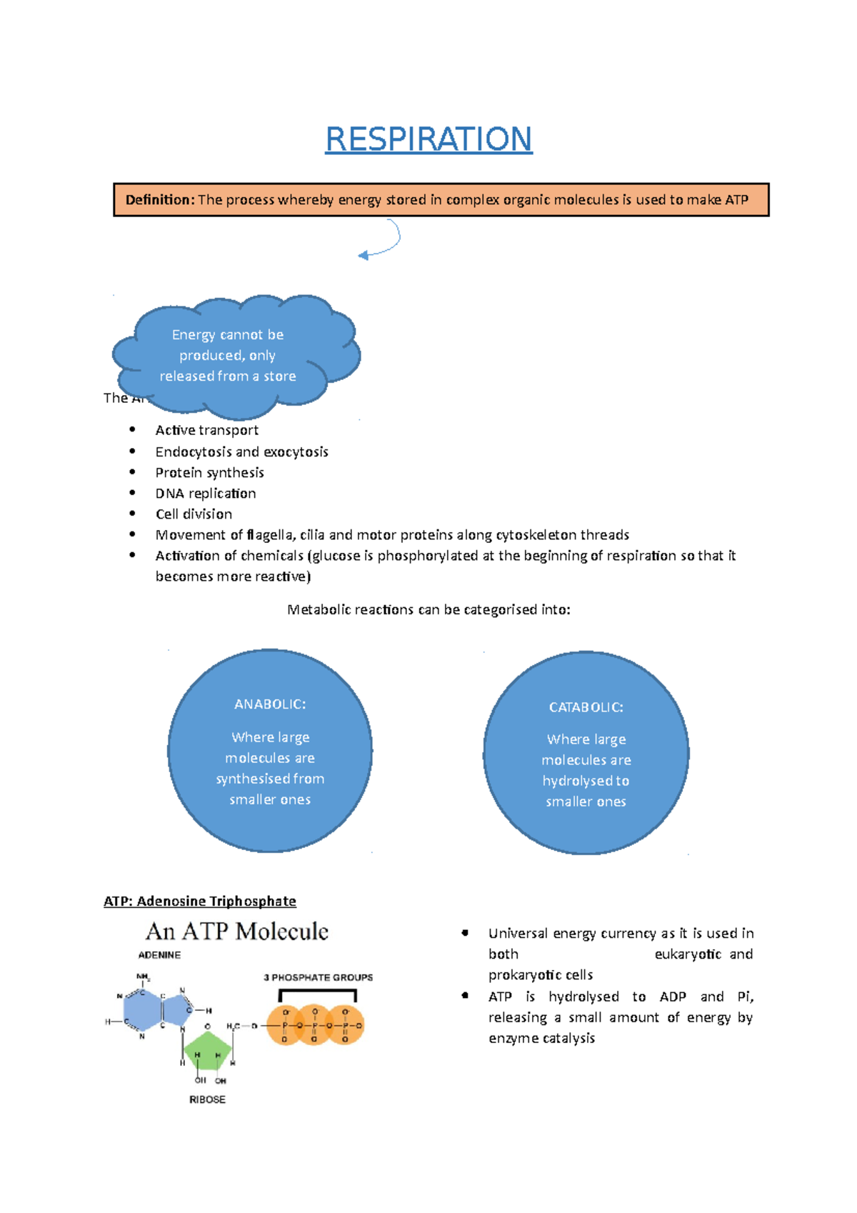 Respiration - Medicine IMMS Notes - RESPIRATION The ATP made is then ...