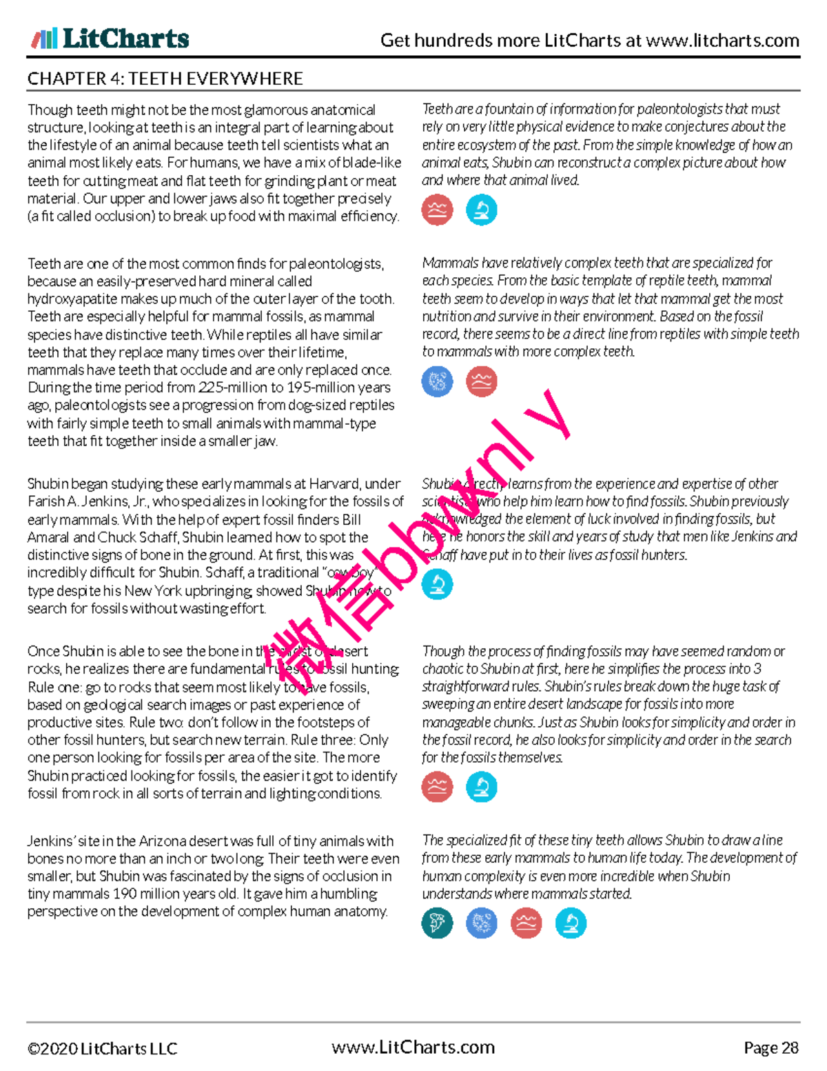 Your-Inner-Fish-Lit Chart 28 - CHAPTER 4: TEETH EVERYWHERE Though teeth ...