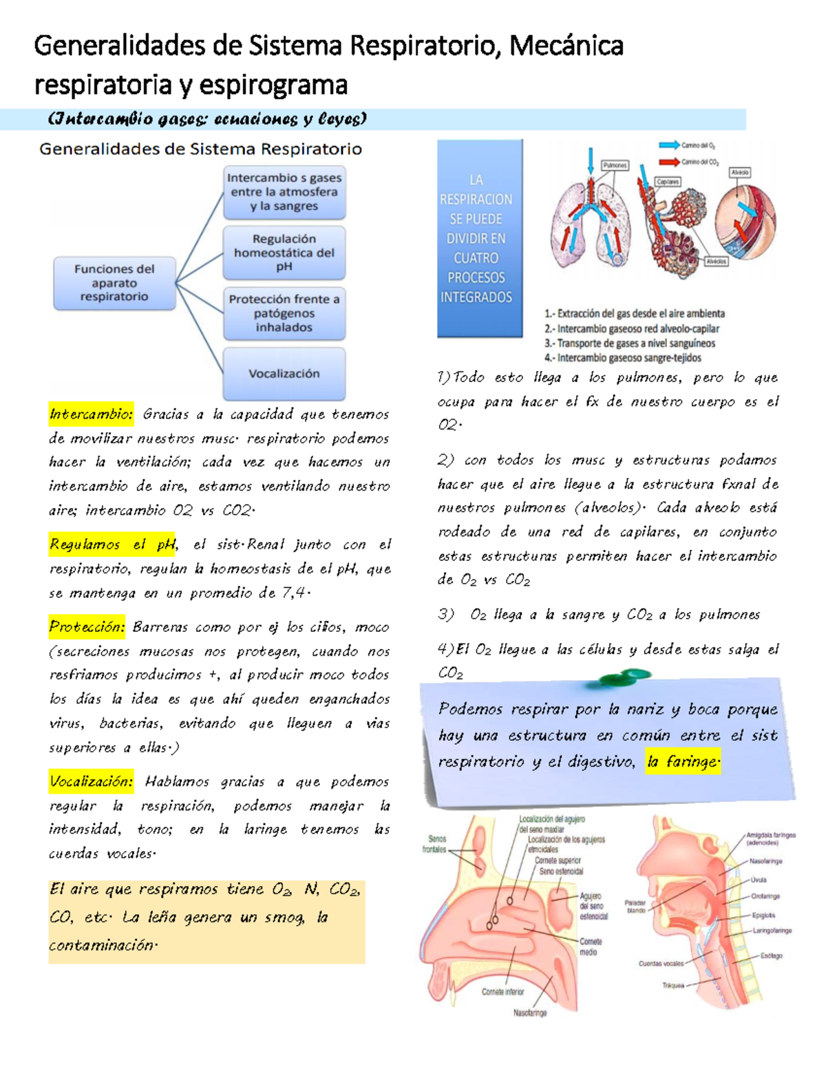 Sistema Respiratorio - Warning: TT: undefined function: 32 (Intercambio gases: ecuaciones y ...