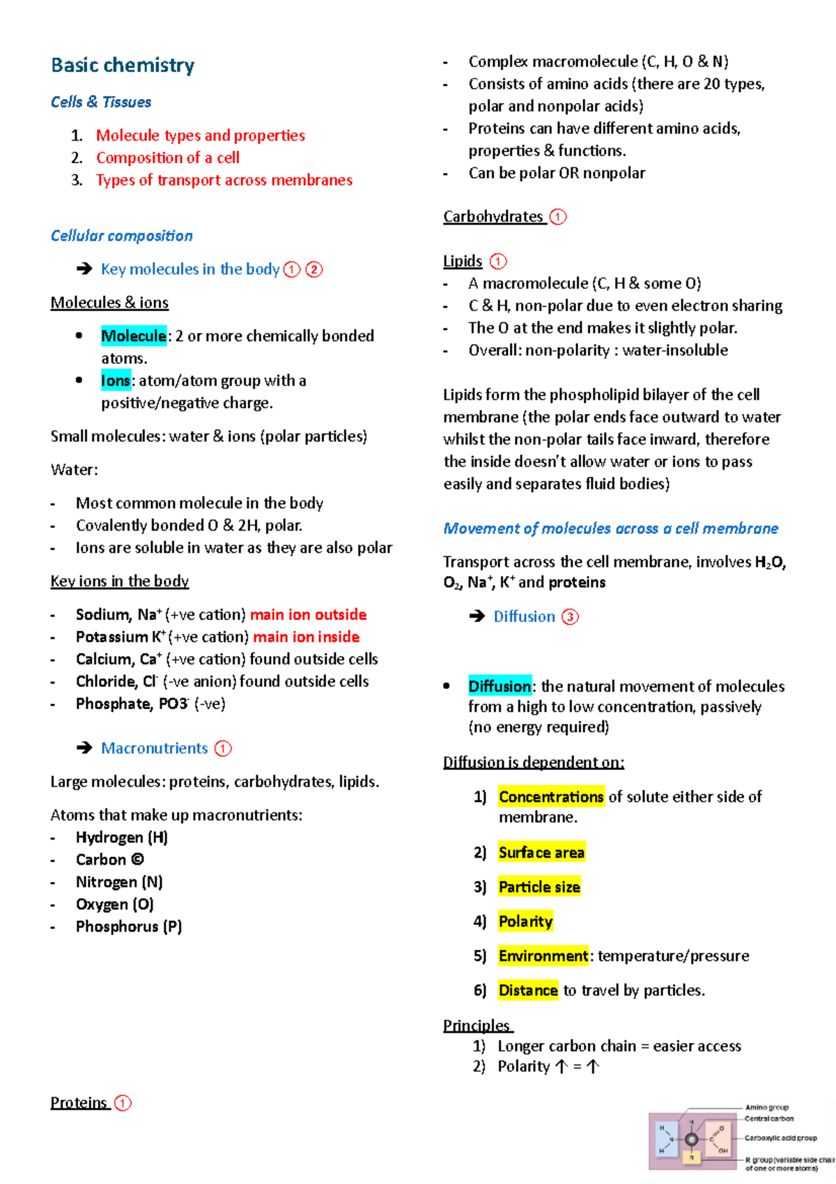BM1011 Week 1-3 notes - Basic chemistry Cells & Tissues Molecule types ...