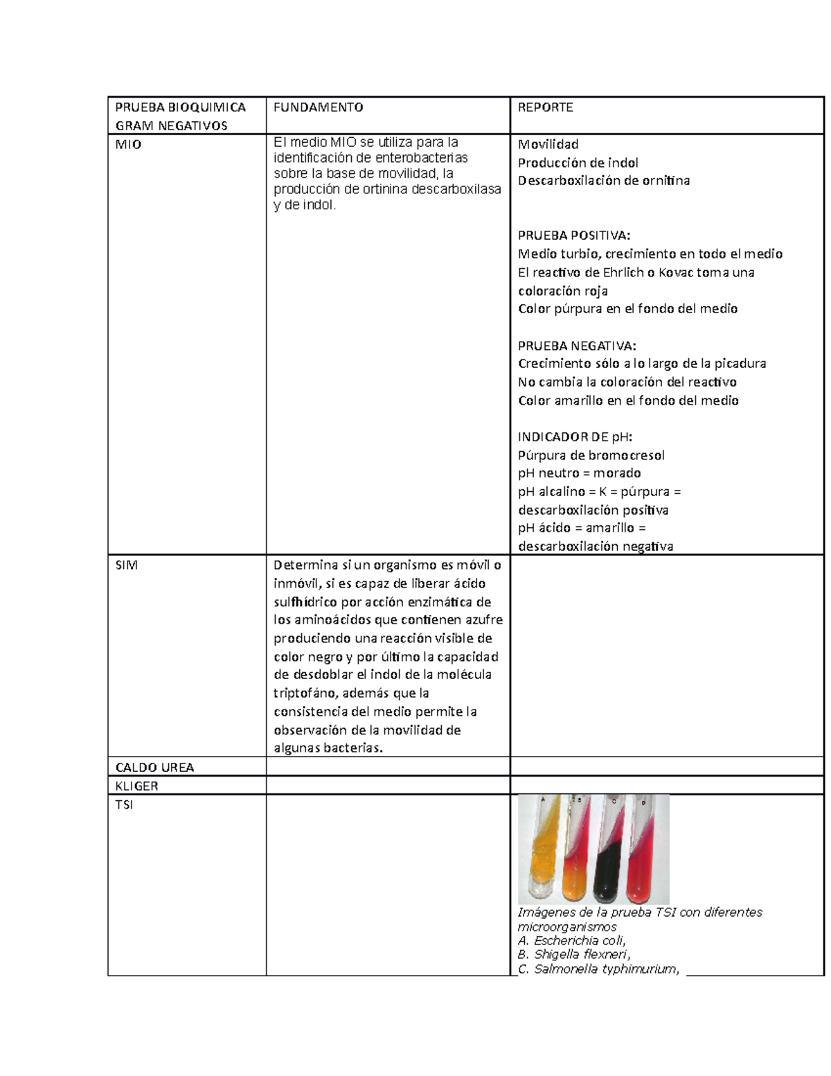 Prueba Bioquimica - Nota: 10 - PRUEBA BIOQUIMICA GRAM NEGATIVOS MIO ...
