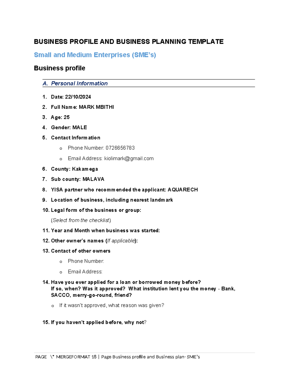 20240815 SME Business plan template, Incubation Filled - BUSINESS ...