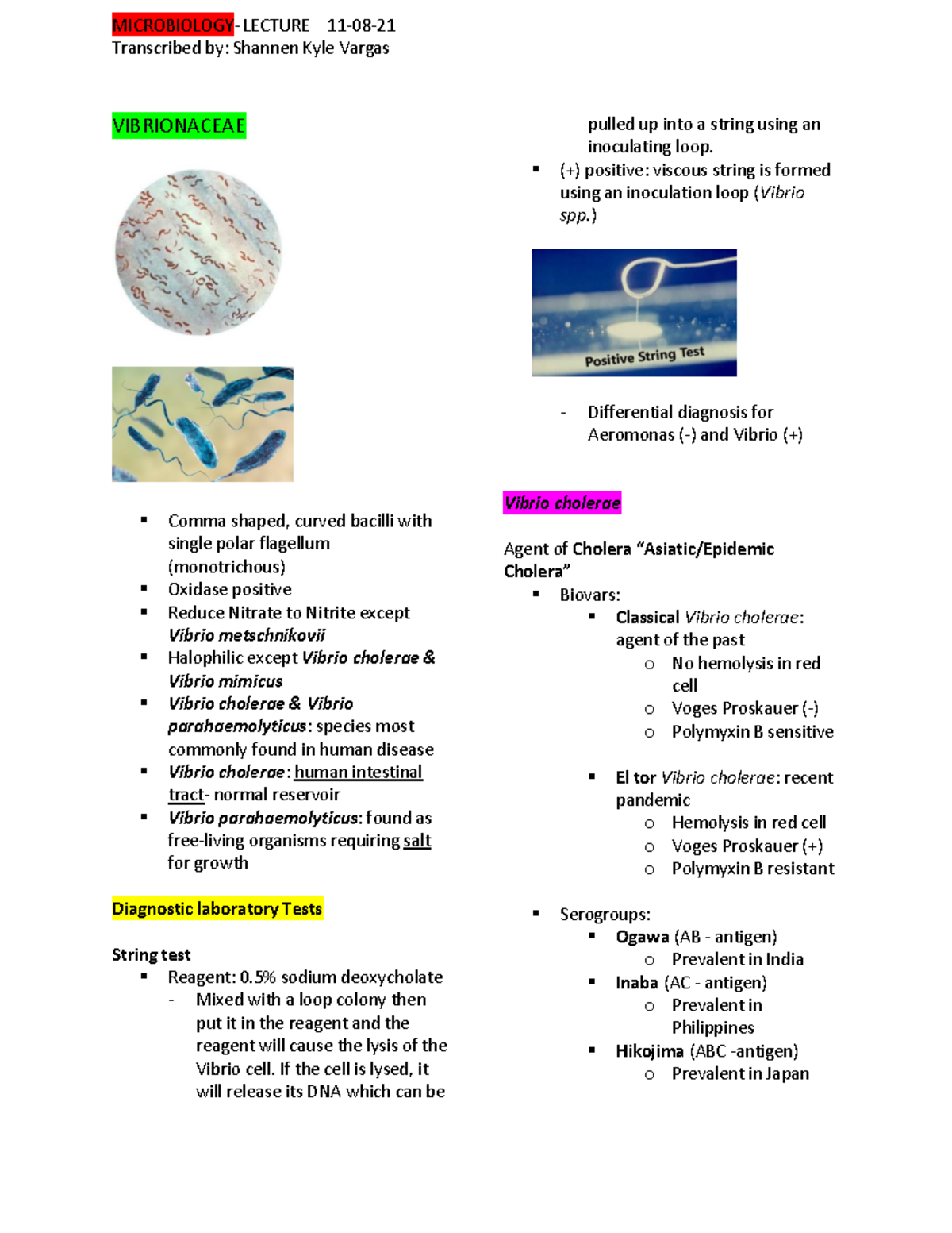 Vibrionaceae-finals-1lesson in microbiology bacteriology - Transcribed ...