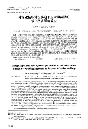 Neural Networks Designing Neural Networks Multi-Objective Hyper-Parameter Optimization - Studocu