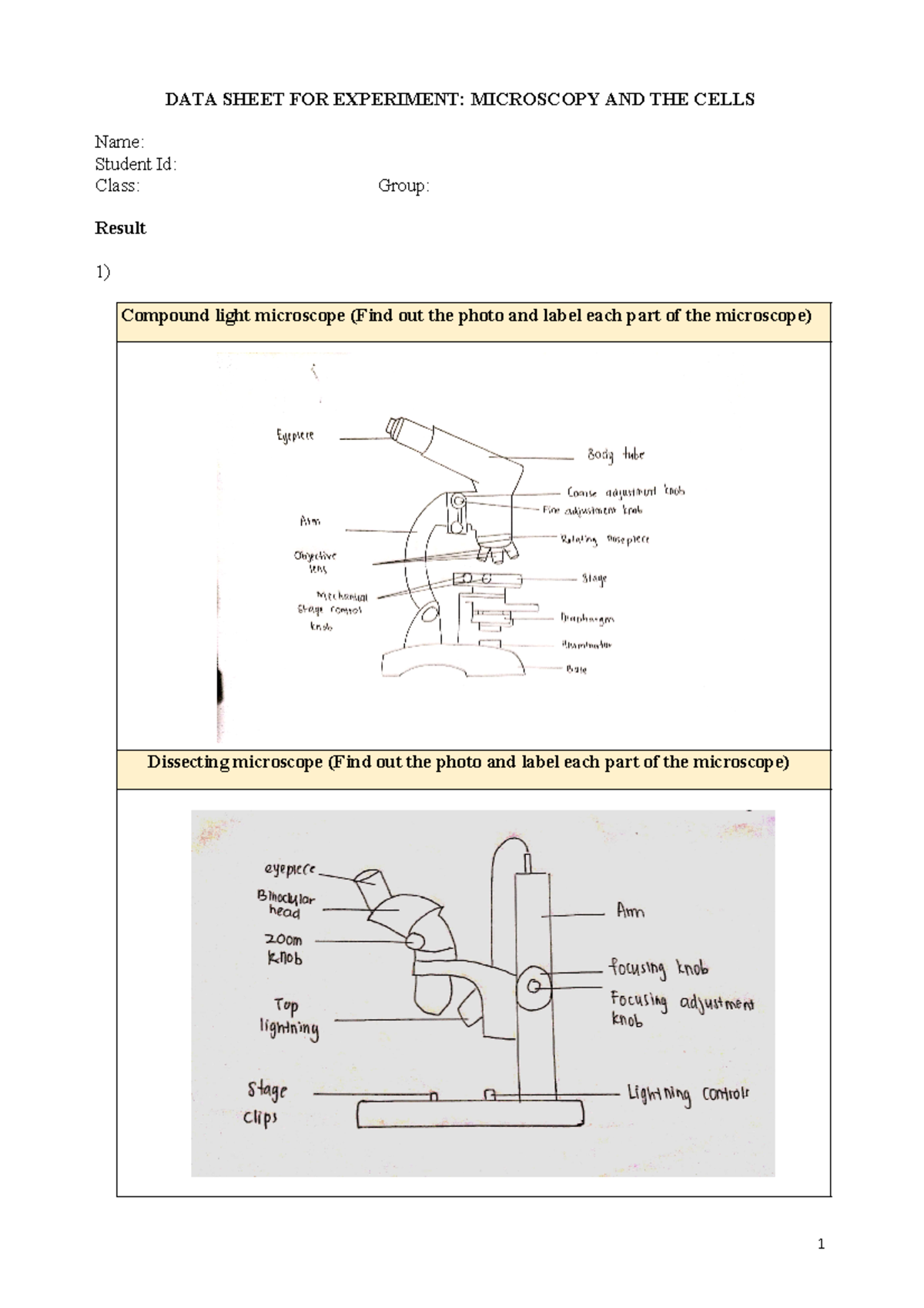 DATA FOR Experiment Microscopy AND THE Cells - Diploma in Science ...