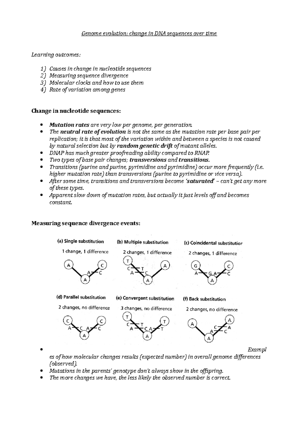 Lec 24 Genome evolution - Genome evolution: change in DNA sequences ...