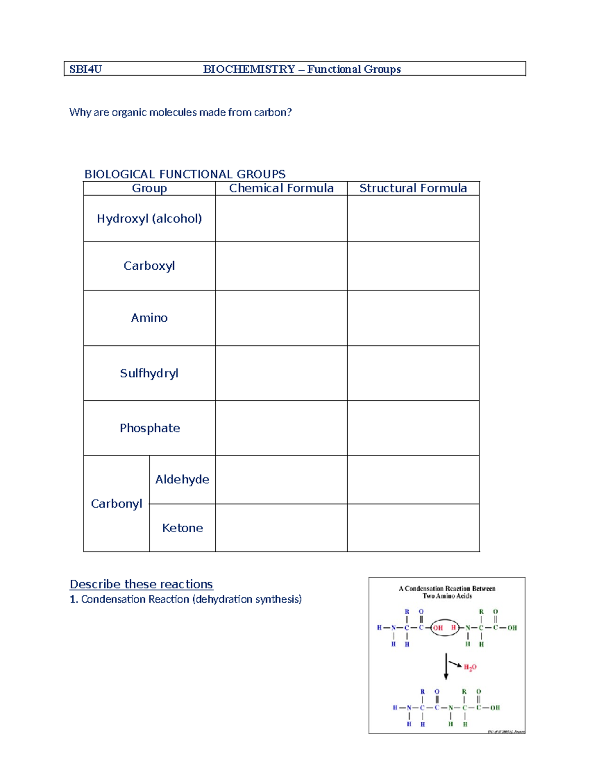 Functional Groups and Linkages review - SBI4U BIOCHEMISTRY – Functional ...