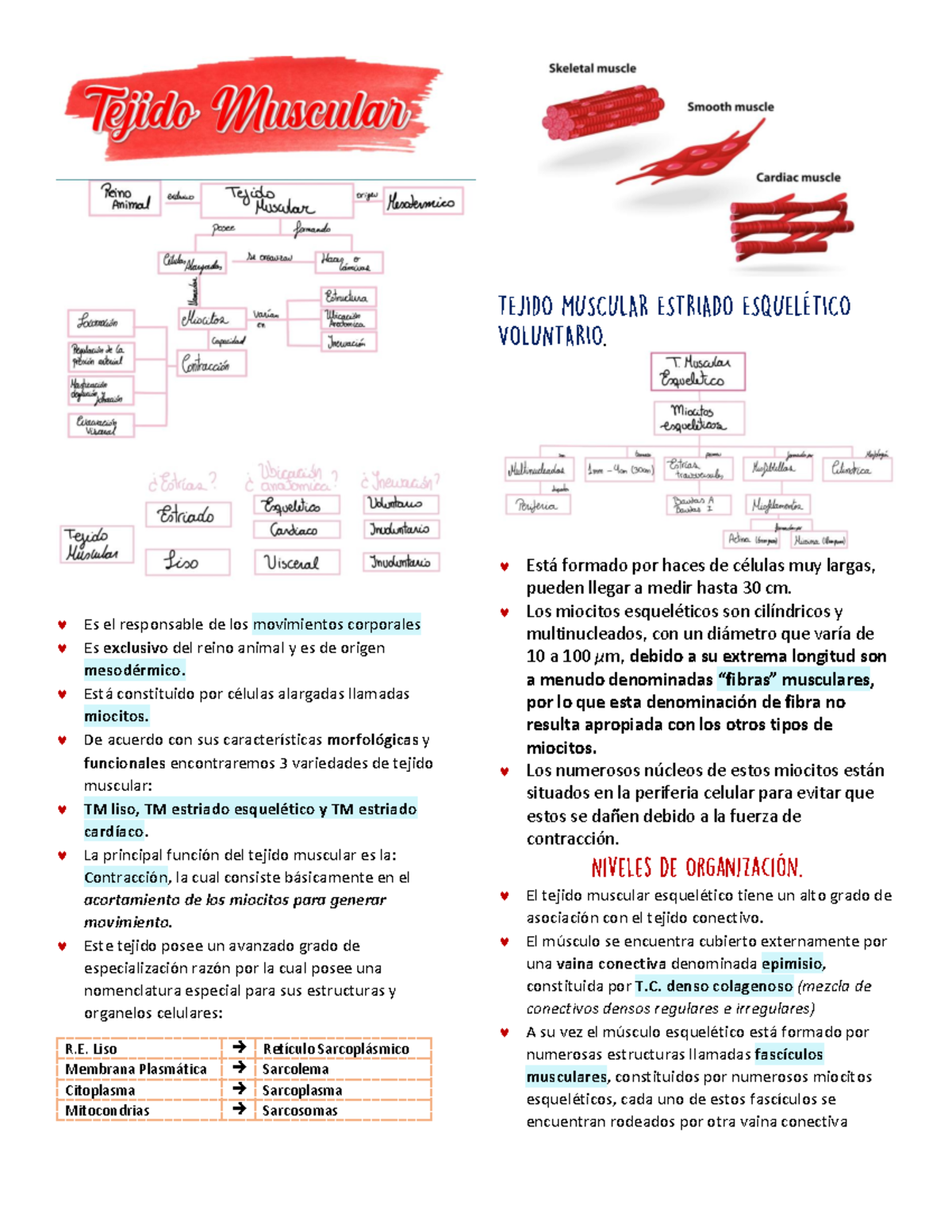 Histologia basica - Warning: TT: undefined function: 32 Warning: TT: undefined function: 32 Es ...