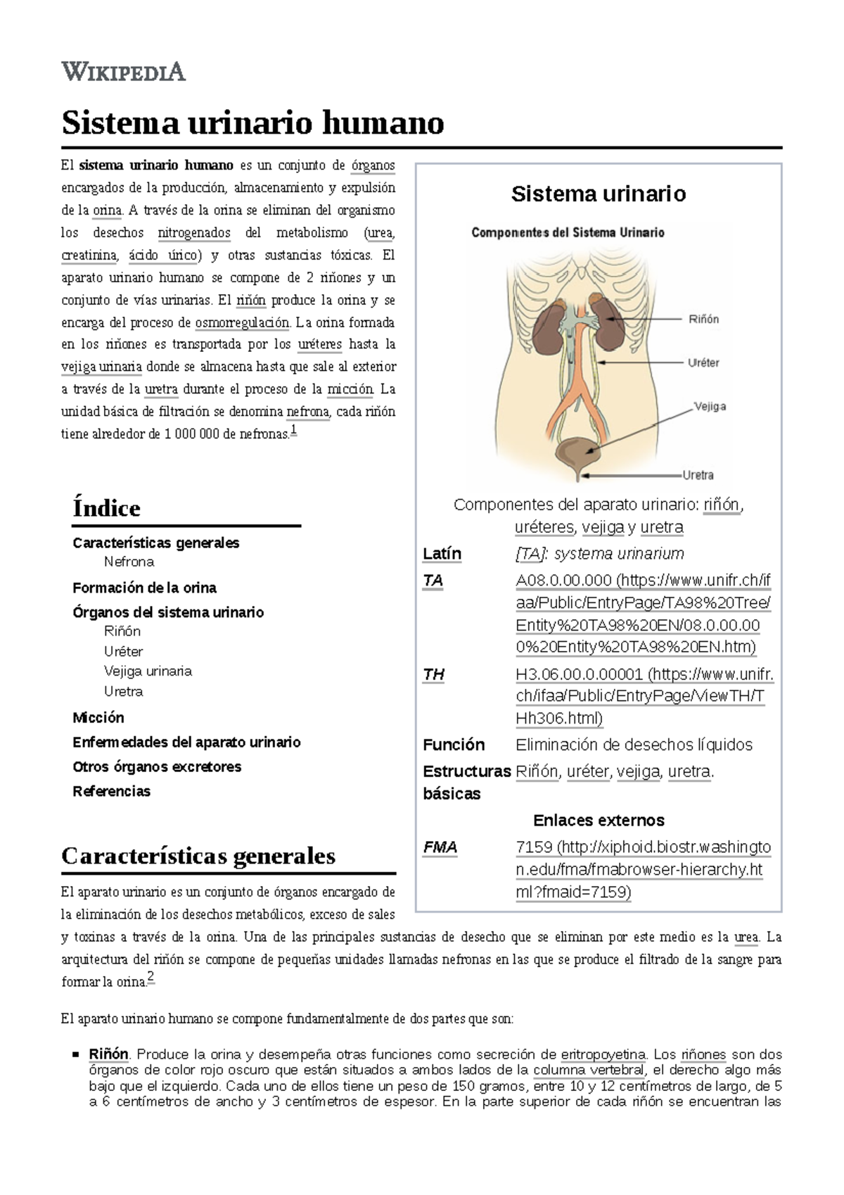 U1 pp 14 sistema urinario - Sistema urinario Componentes del aparato ...