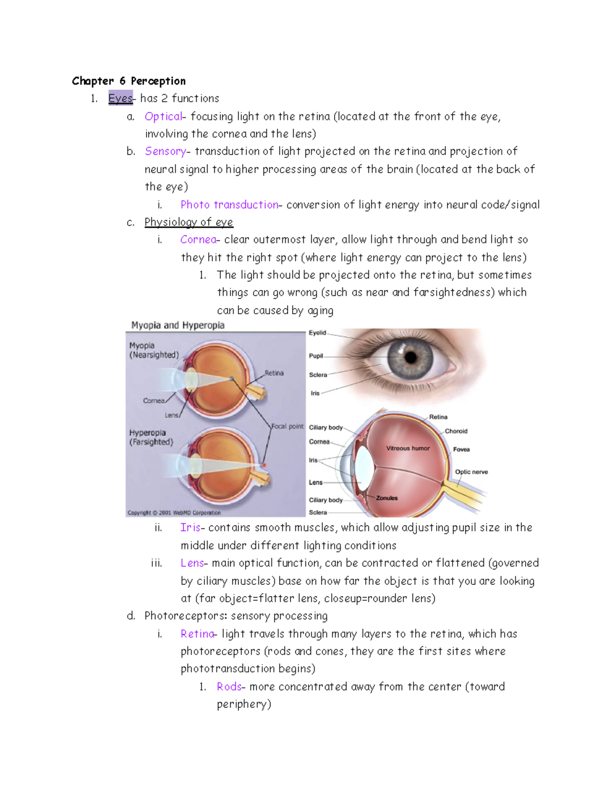 Chapter 6 (Perception) - Chapter 6 Perception 1. Eyes - has 2 functions ...