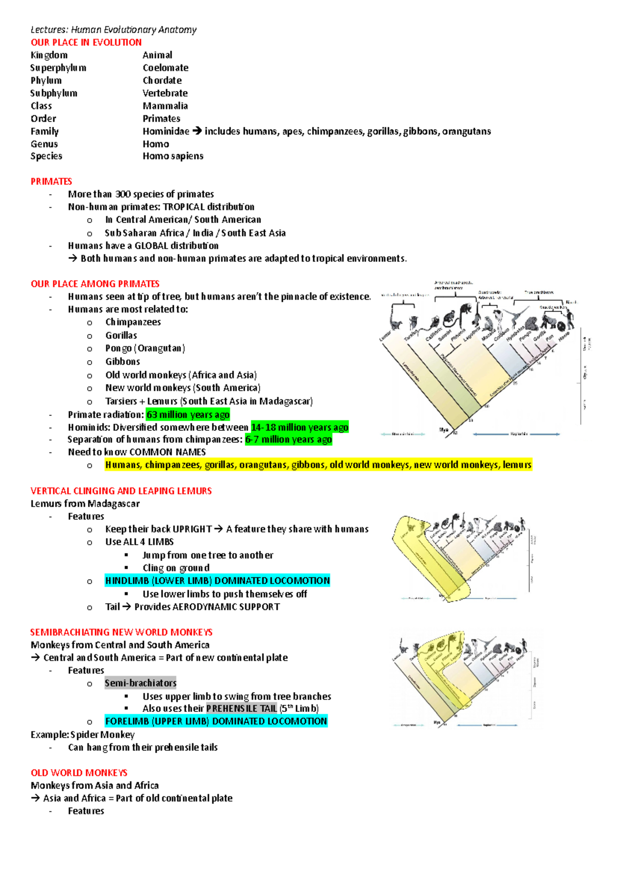 Evolution-Lectures - Lecture notes 20-26 - Lectures: Human Evolutionary ...