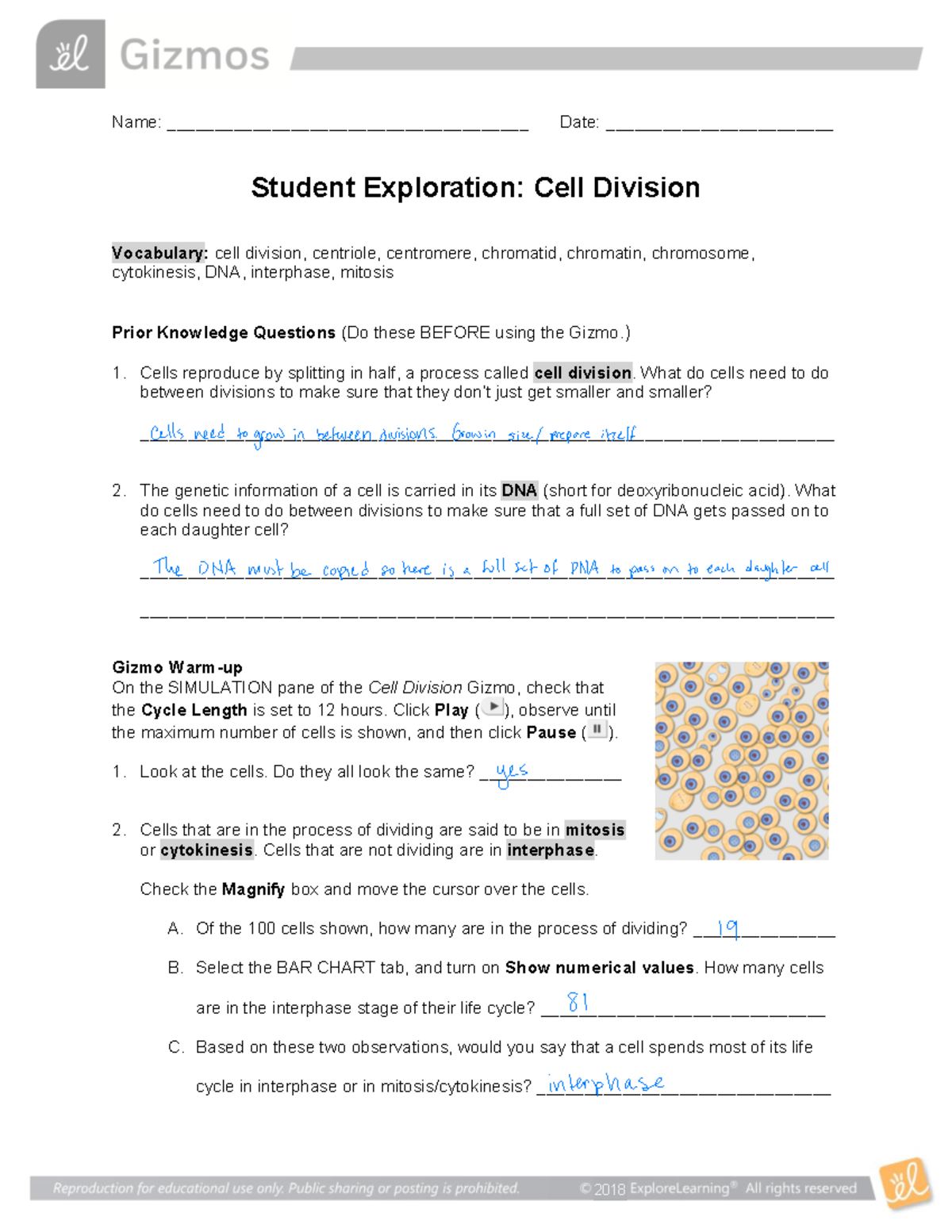 Gizmos+Cell Division SE - Name ...
