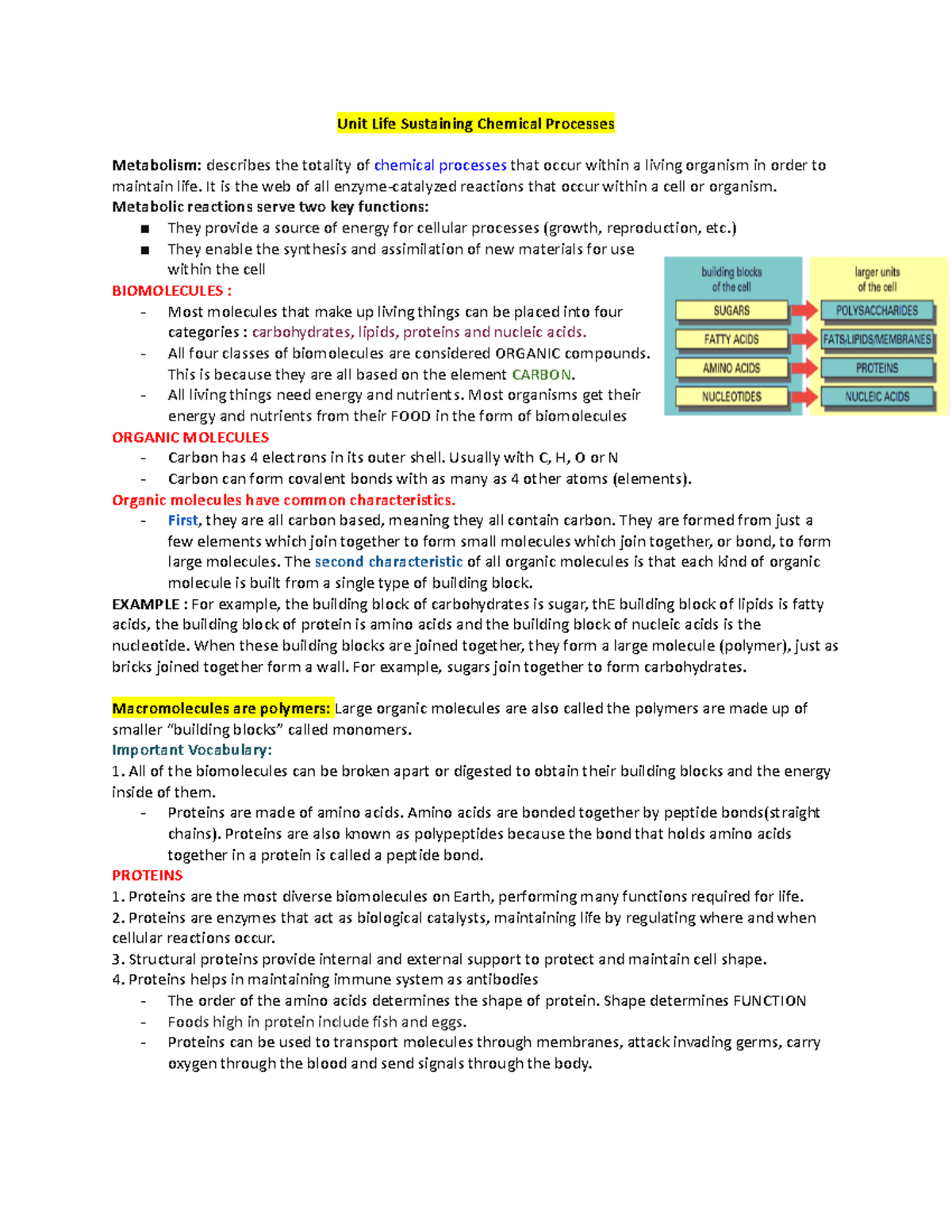 Biology unit 1 chemical processes - Unit Life Sustaining Chemical ...