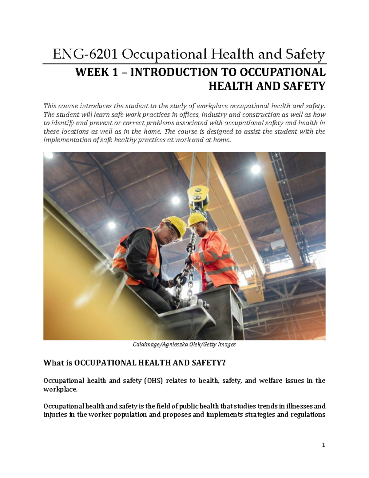 Week 1 - Introduction to OHS - ENG-6201 Occupational Health and Safety ...