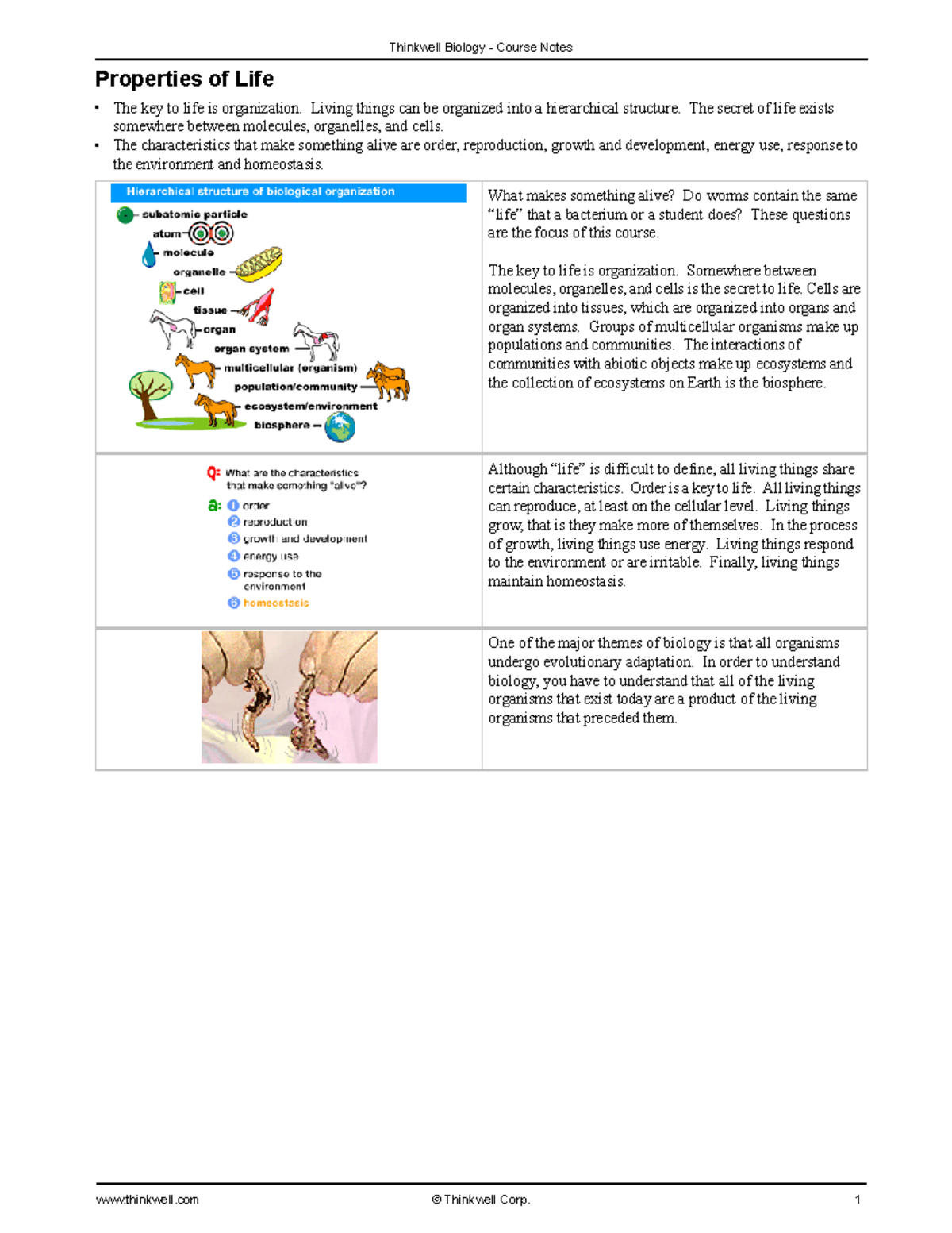 6973 - assignment notes - Properties of Life The key to life is ...