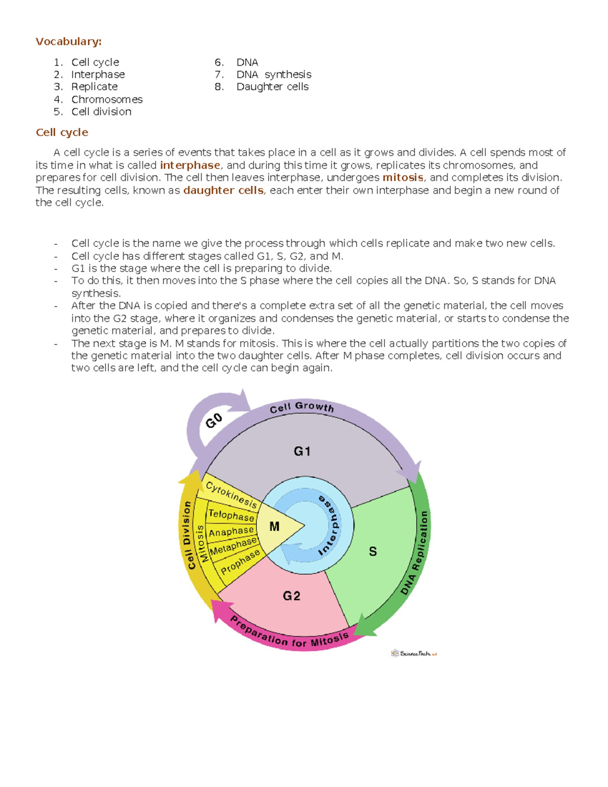 Cell Cycle Mitosis - Vocabulary: 1. Cell cycle 6. DNA 2. Interphase 7 ...