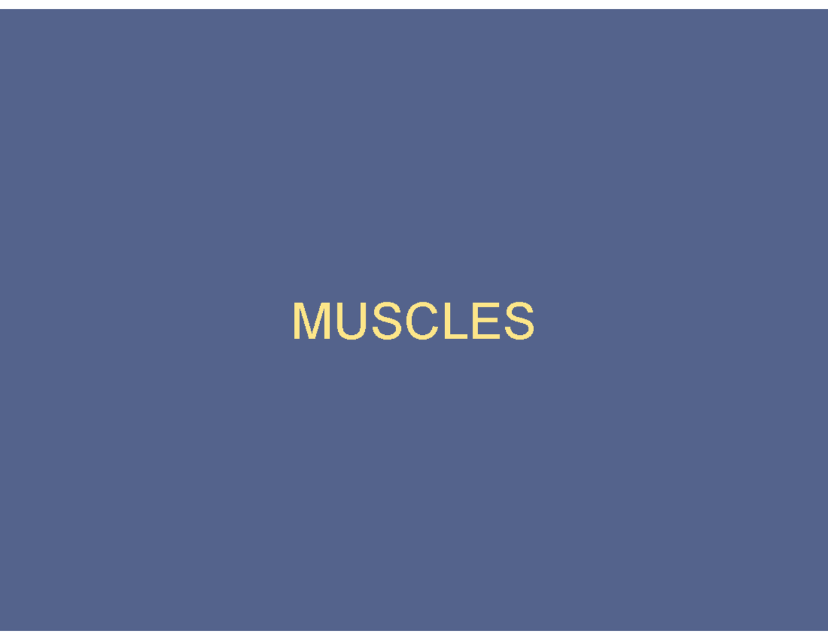 Muscles LAB - MUSCLES REVIEW: MUSCLES OF FACIAL EXPRESSION NECK MUSCLES ...