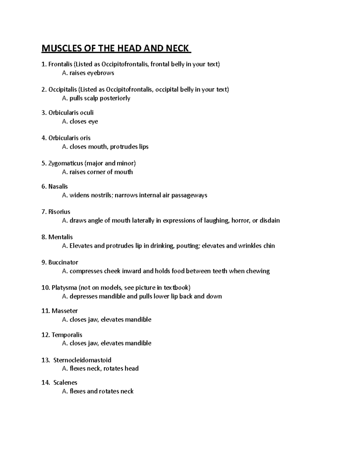 Entire muscle list - assignment - MUSCLES OF THE HEAD AND NECK ...