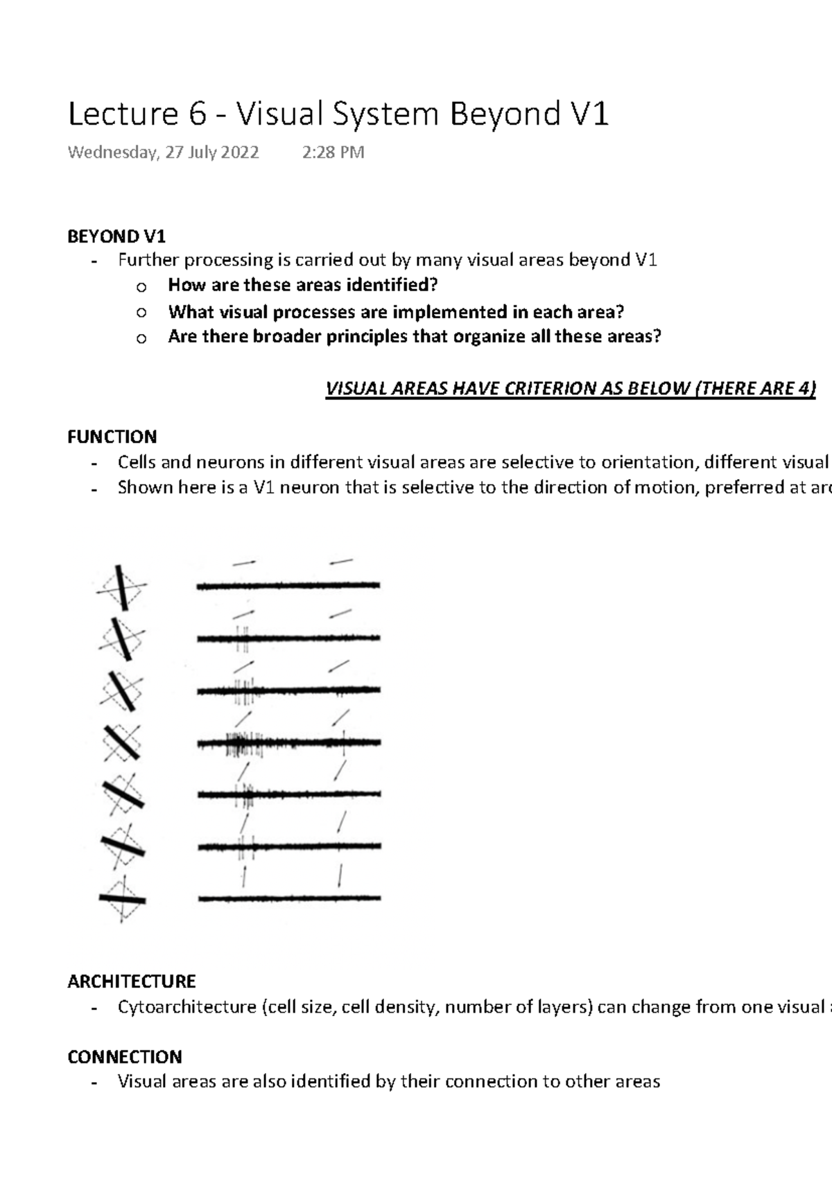 Lecture 6 - Visual System Beyond V1 - BEYOND V Further processing is carried out by many visual ...