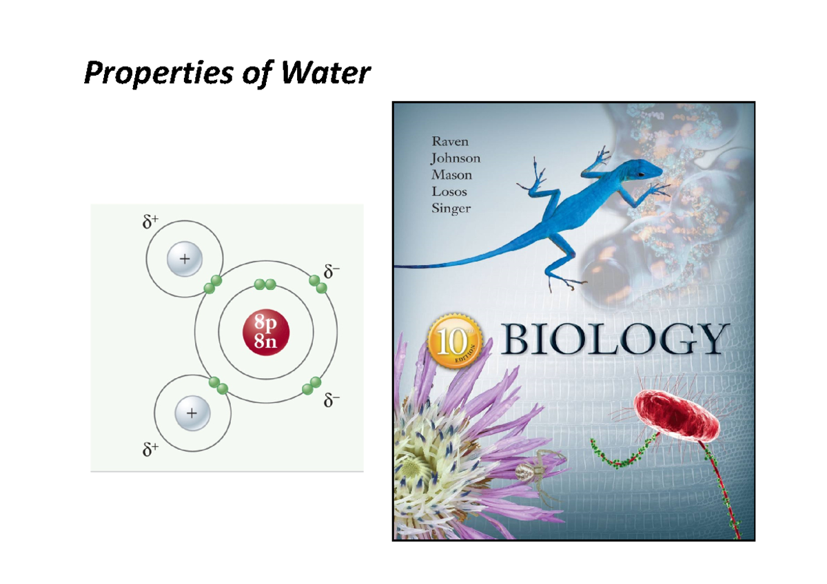 2018 Properties Of Water first year mlb notes - Properties of Water The ...