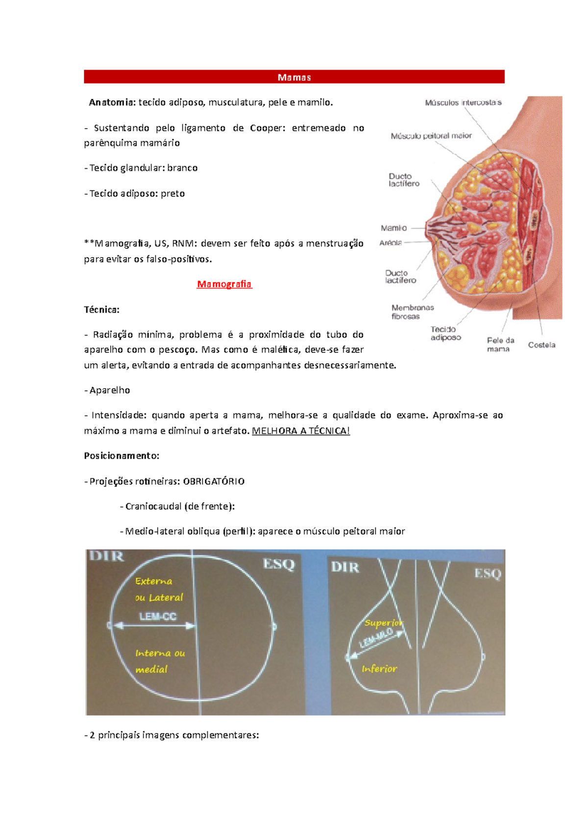 Mamografia - Aula - Mamas Anatomia: tecido adiposo, musculatura, pele e ...