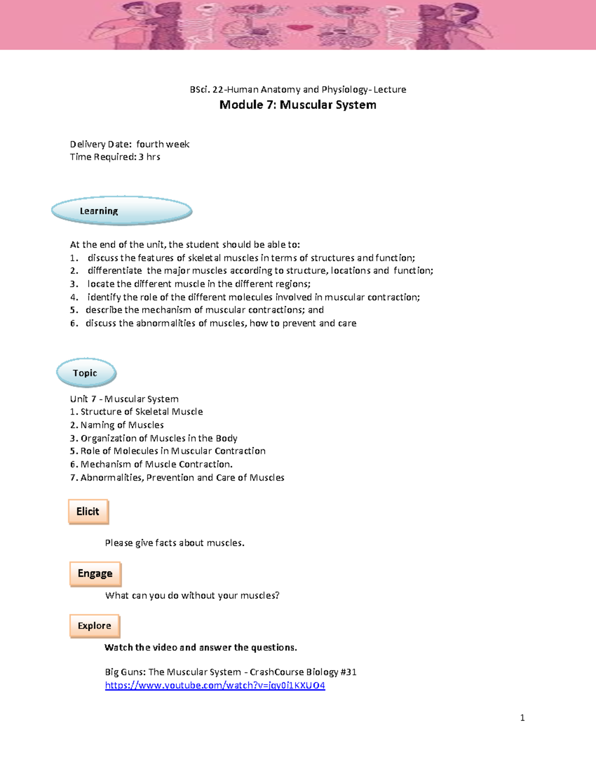 Anatomy lec module 7 Muscular DUE 0CT 14 - 1 BSci. 22-Human Anatomy and ...