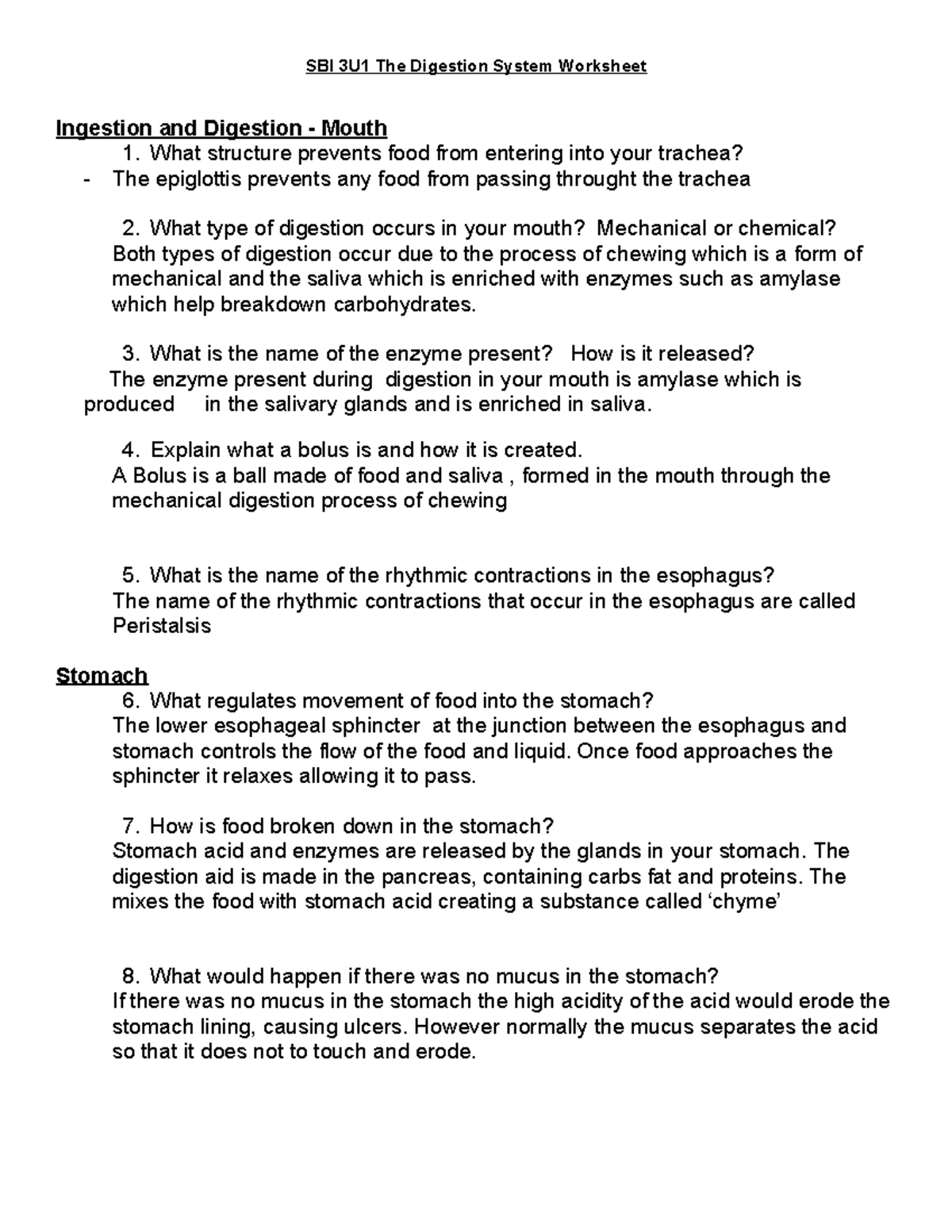 Digestive - SBI 3U1 The Digestion System Worksheet Ingestion and ...