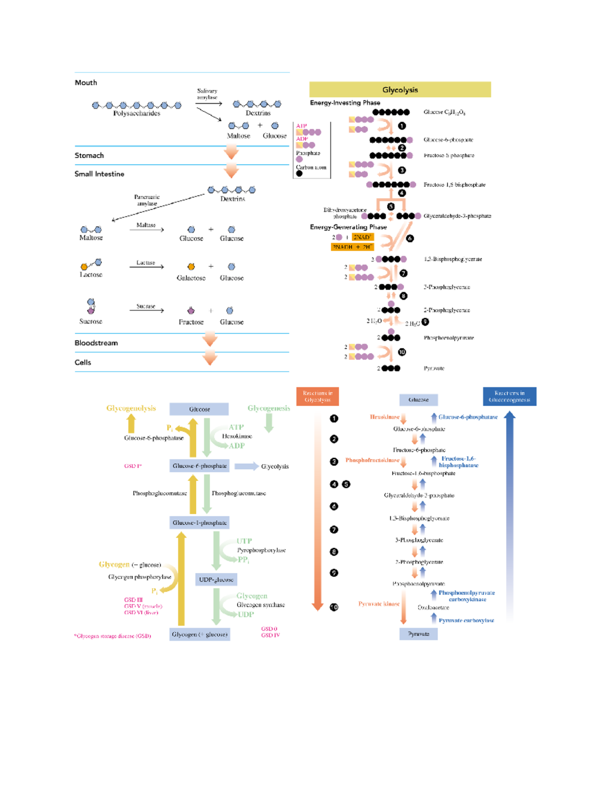 Diagrams - CHEM 1152K - Studocu