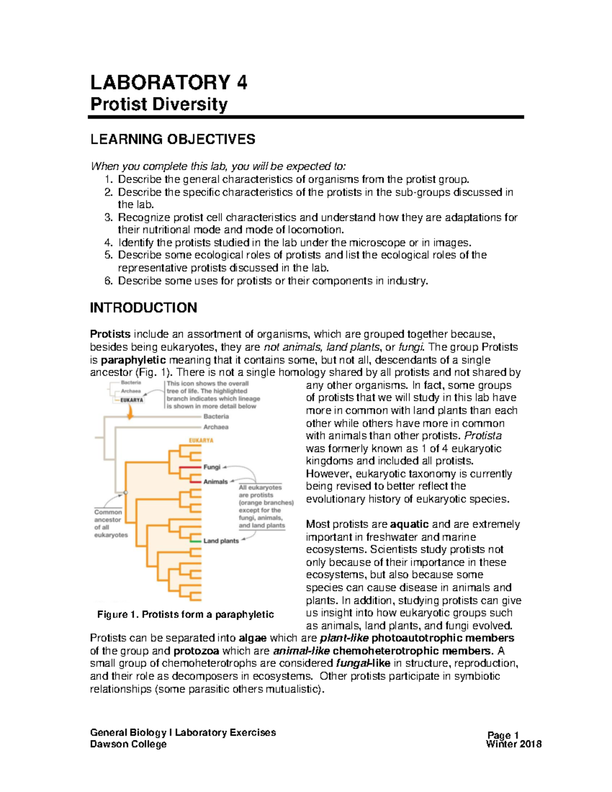 LAB 4 - protists - General Biology I Laboratory Exercises Page 1 ...