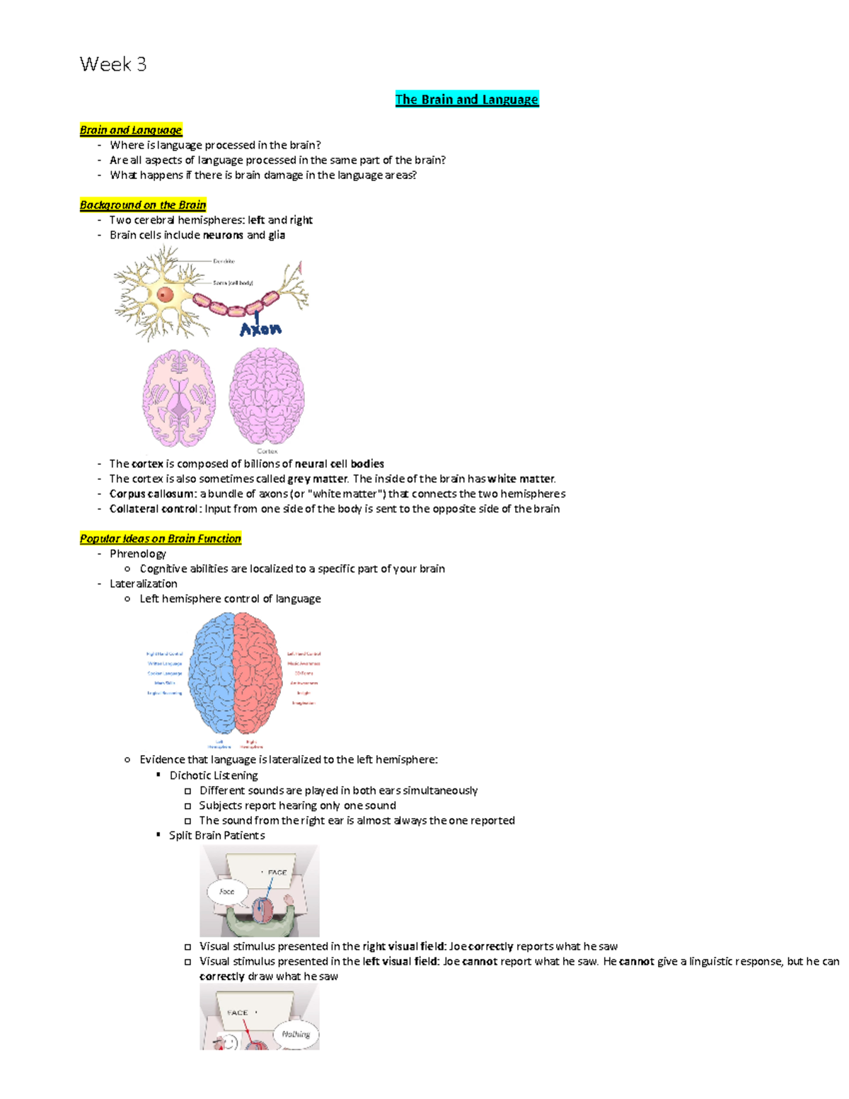 Week3 - William Harold Torrence - The Brain and Language Brain and ...
