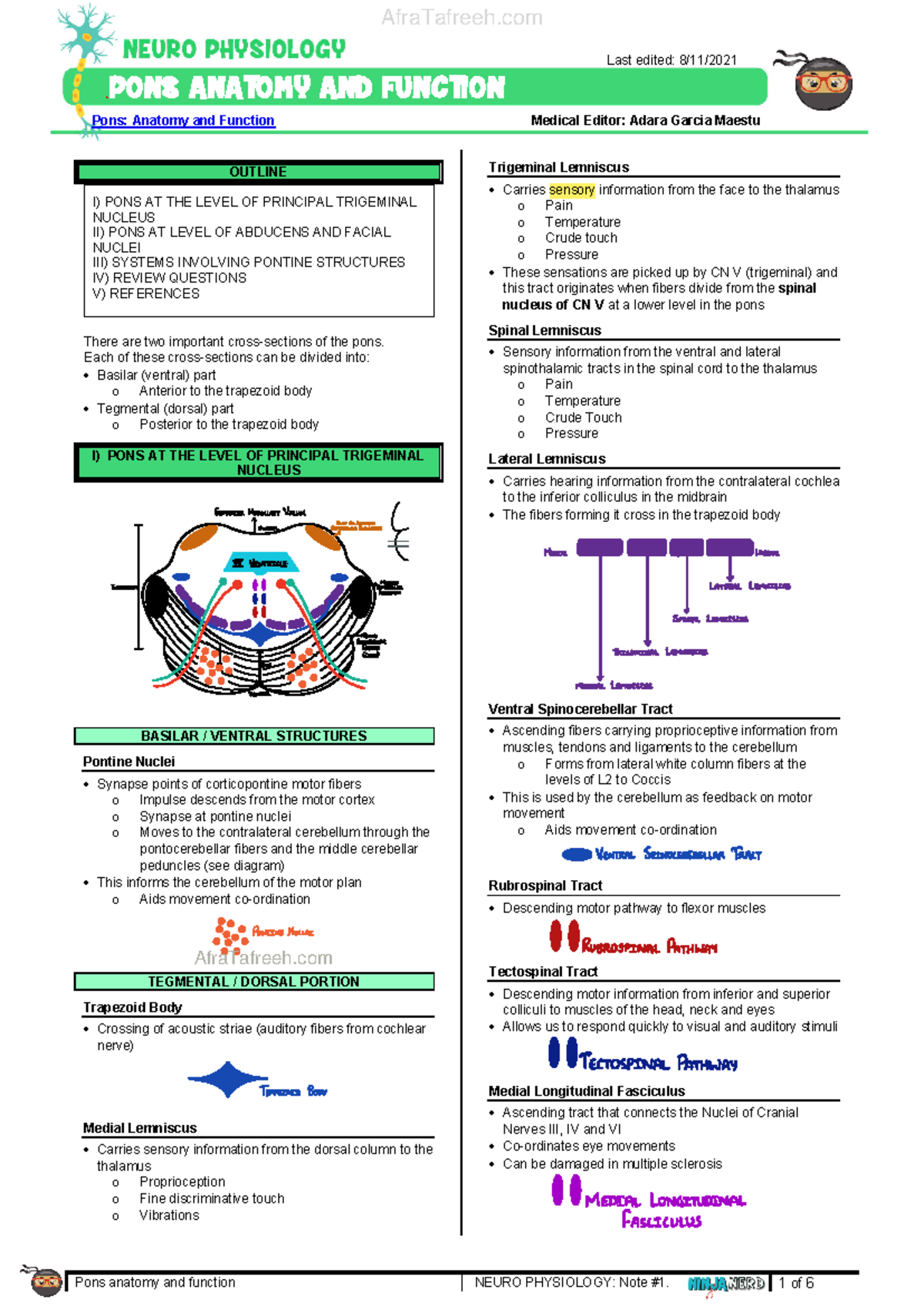 Pons Anatomy & Function atf - Pons anatomy and function NEURO ...