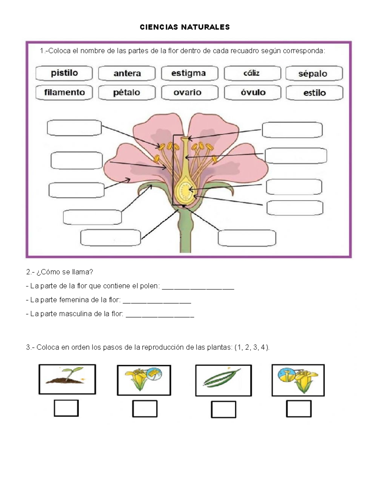 Ciencias Naturales - CIENCIAS NATURALES 2.- ¿Cómo se llama? La parte de ...