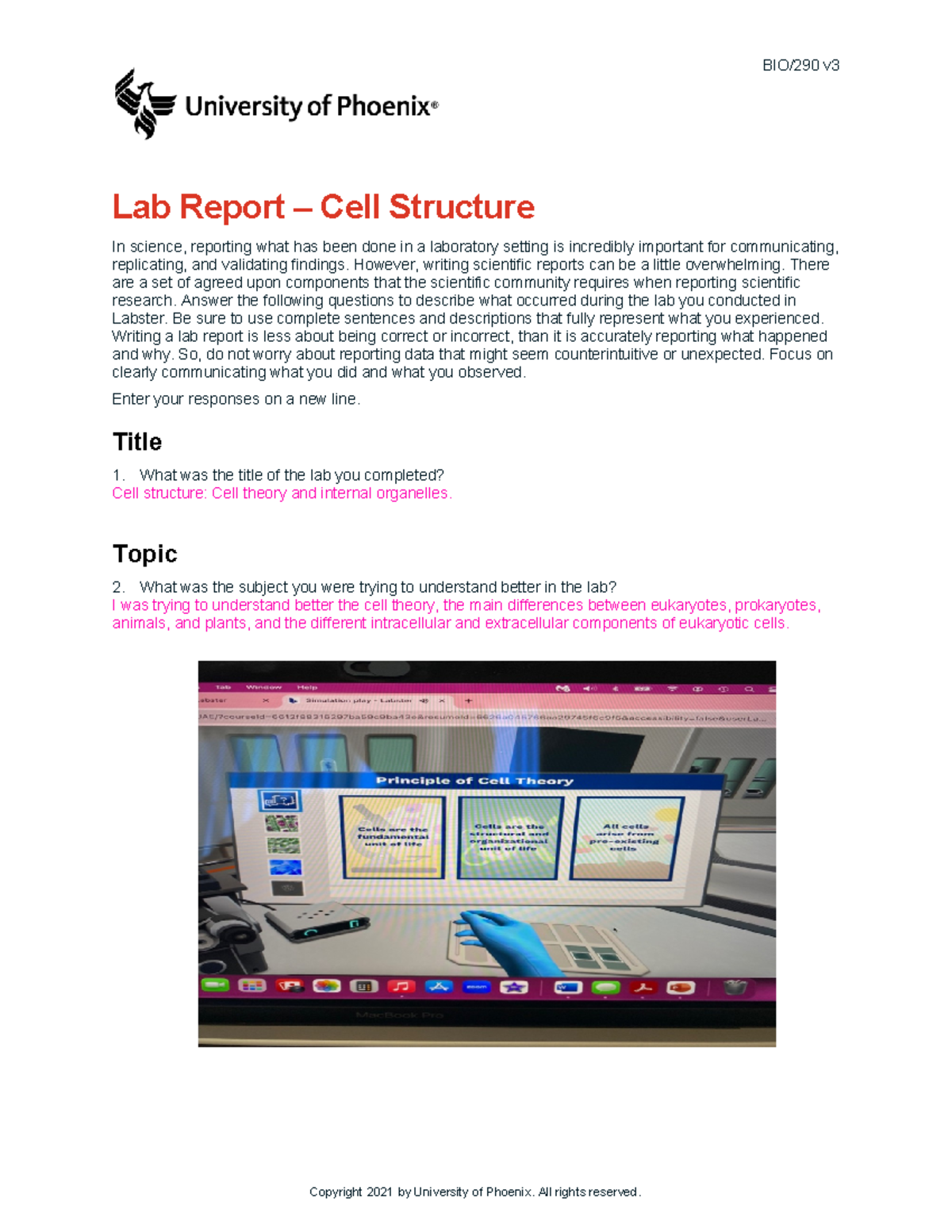 Wk2 the cell structure lab report - BIO/290 v Lab Report – Cell Structure In science, reporting ...