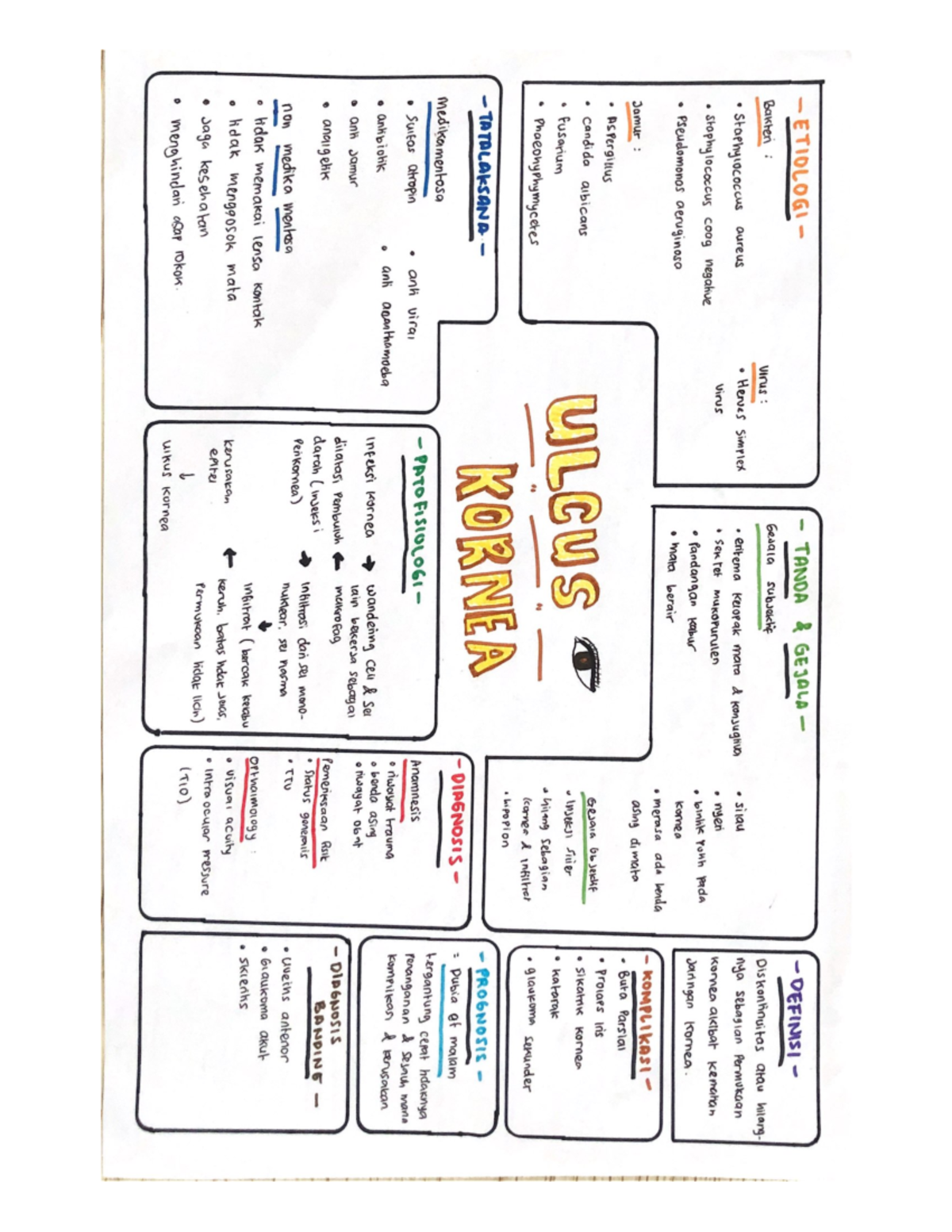 Ulkus kornea - mindmap sooca (Mata) - indera khusus - Studocu