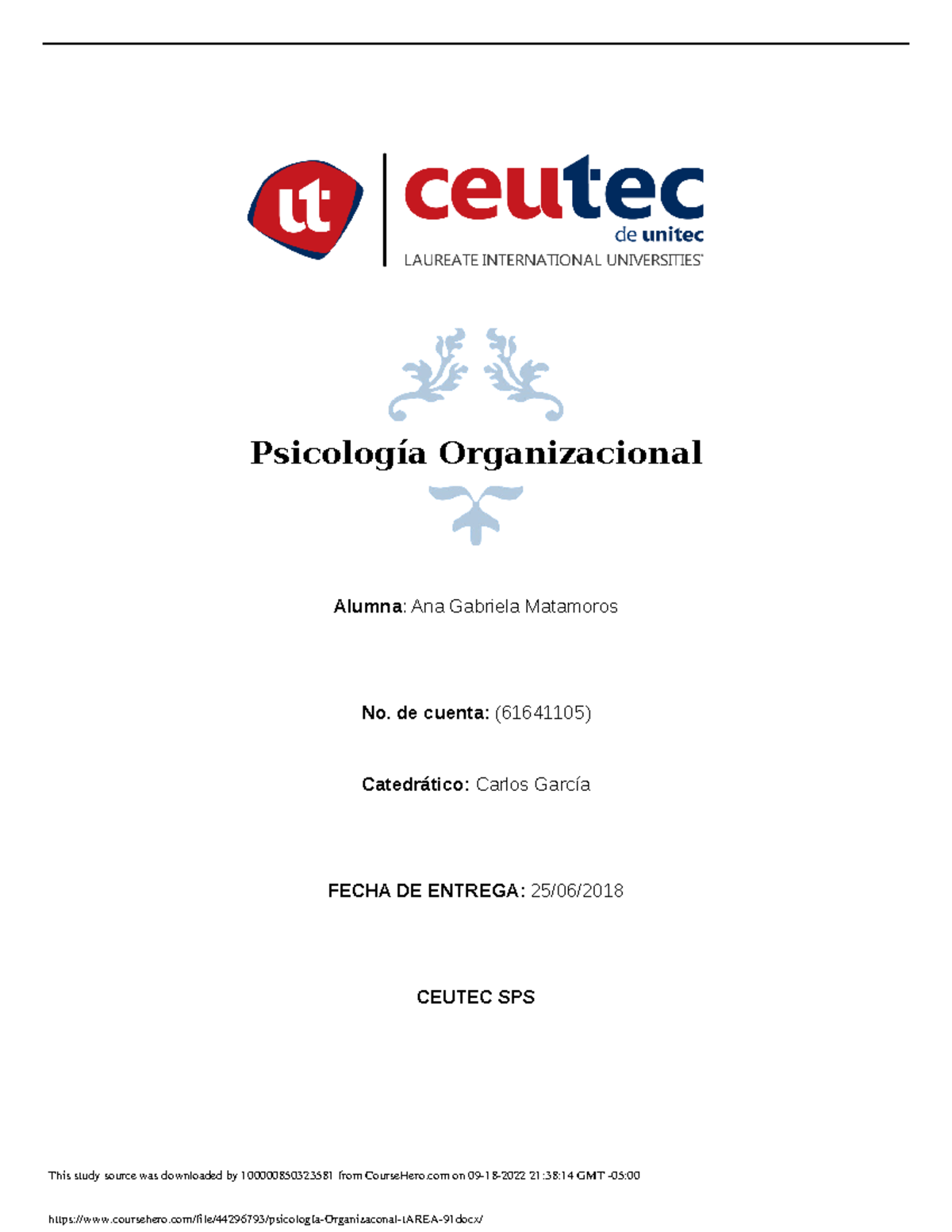 Psicolog Ia Organizaconal t AREA 9 - Psicología Organizacional Alumna : Ana Gabriela Matamoros ...