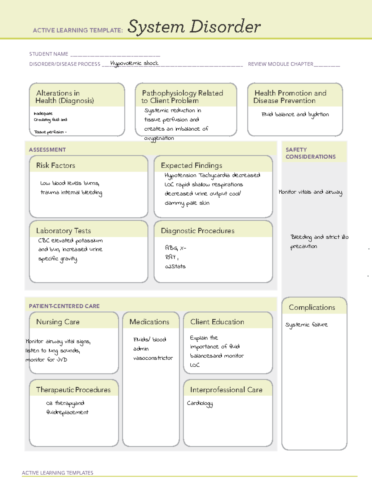 ALT - System Disorder - Care Plan - ACTIVE LEARNING TEMPLATES System ...
