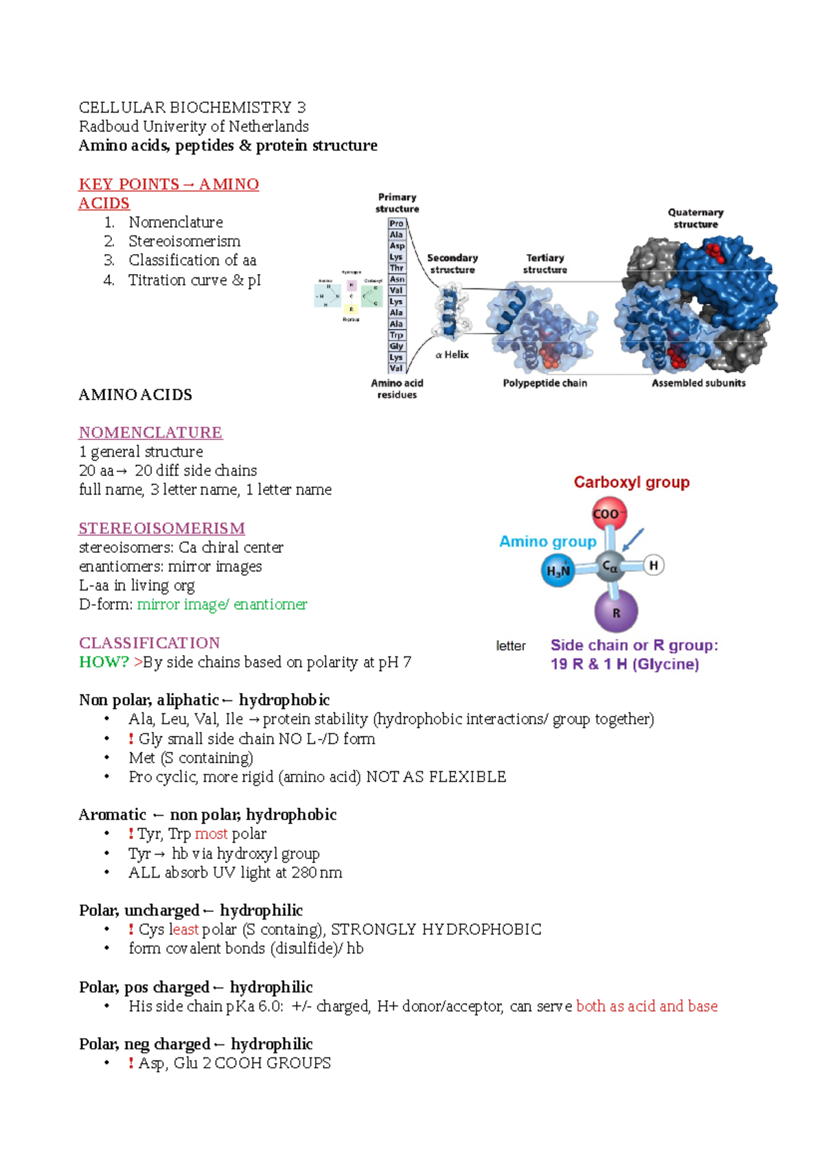 Cellular Biochemistry 3- Aminoacids AND Proteins Structure - CELLULAR ...