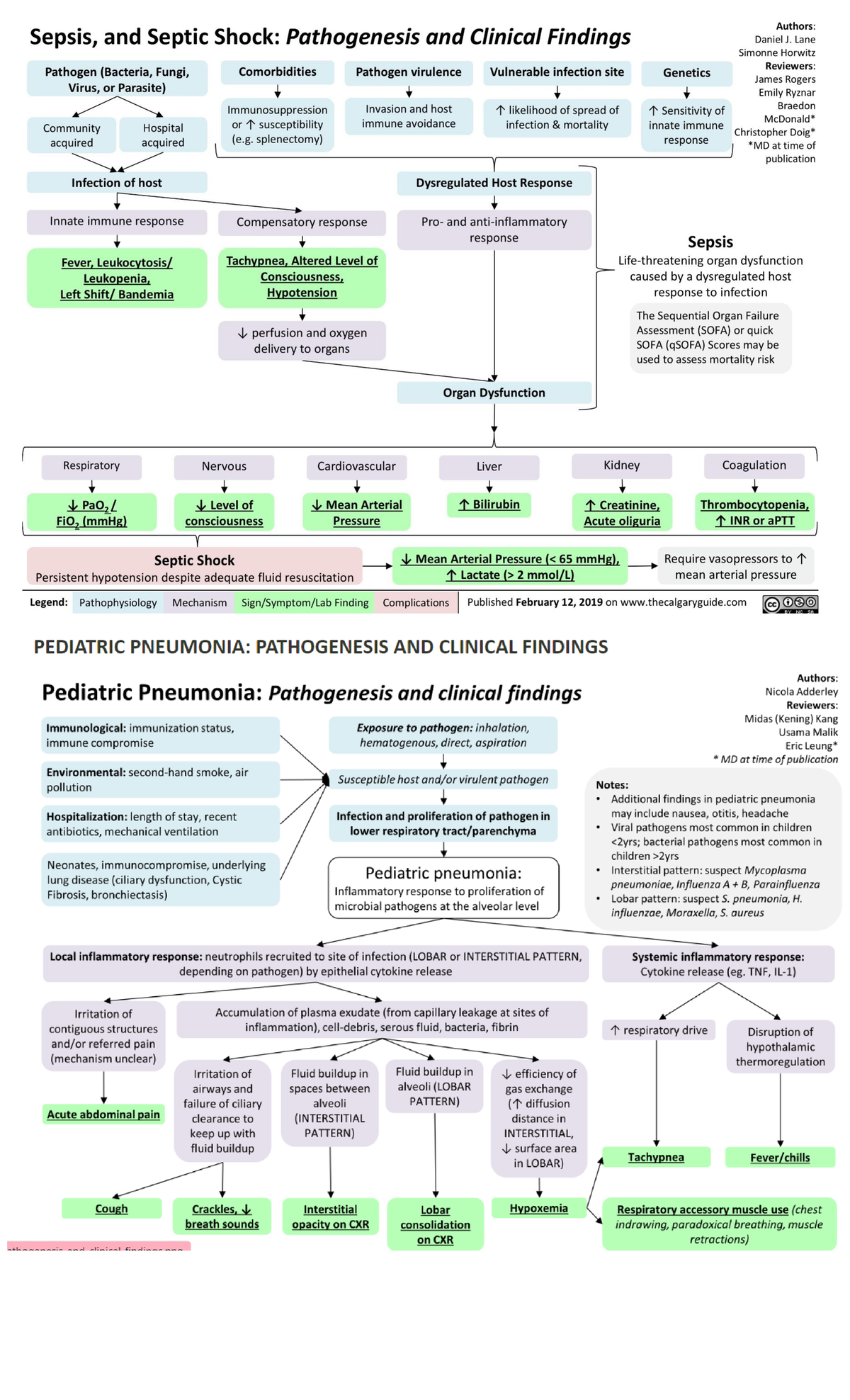 Patho sepsis - Maternal & Child Nursing - Studocu