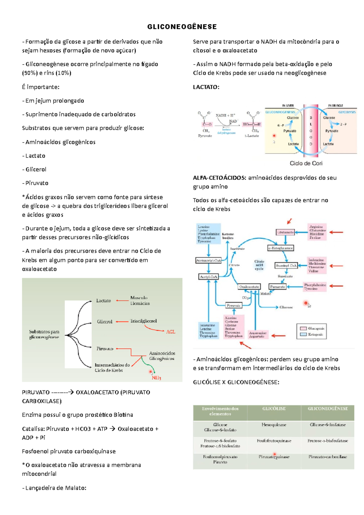 Gliconeogênese e regulação metabólica - GLICONEOGÊNESE Formação da ...