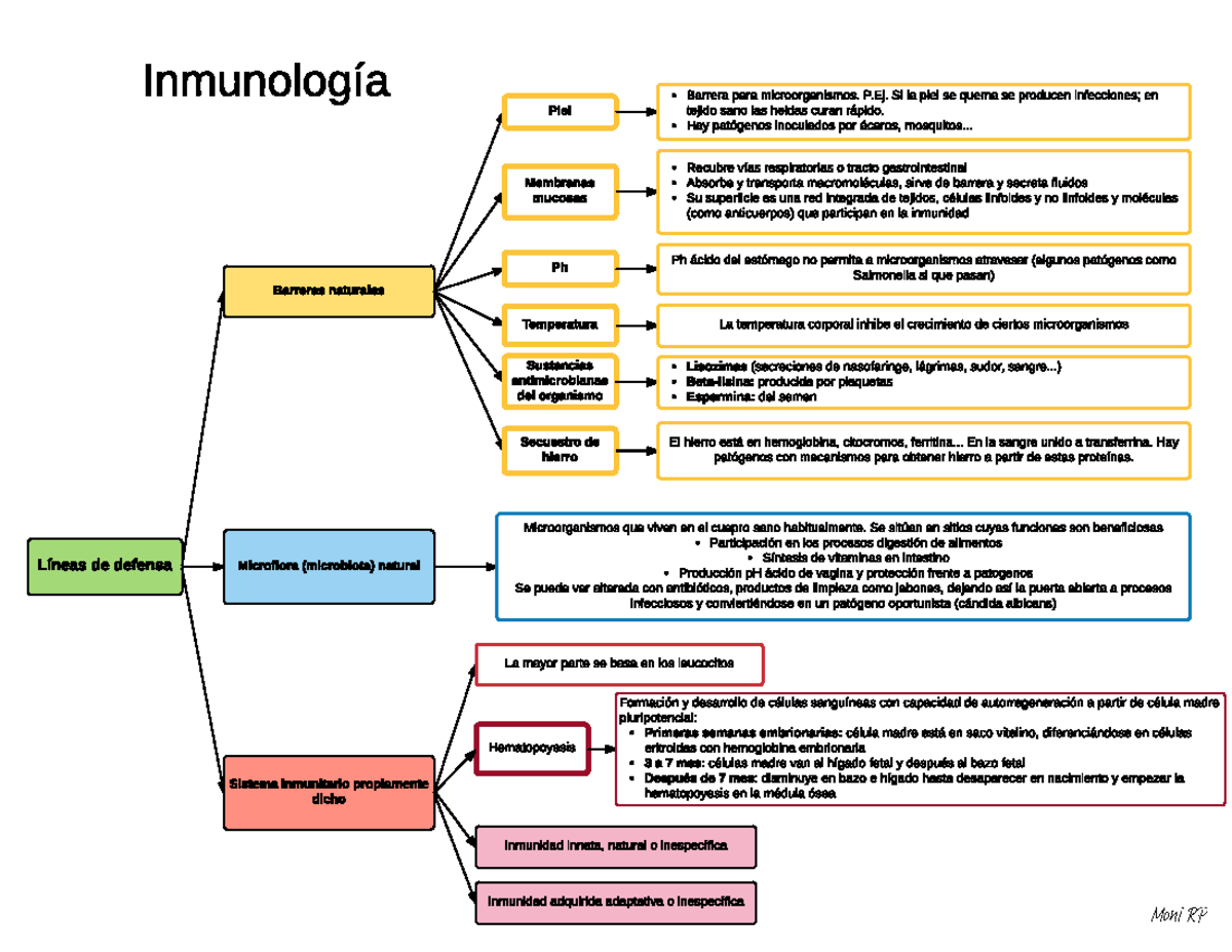 Esquema UD 6 Biologia - Líneas de defensa Sistema inmunitario ...