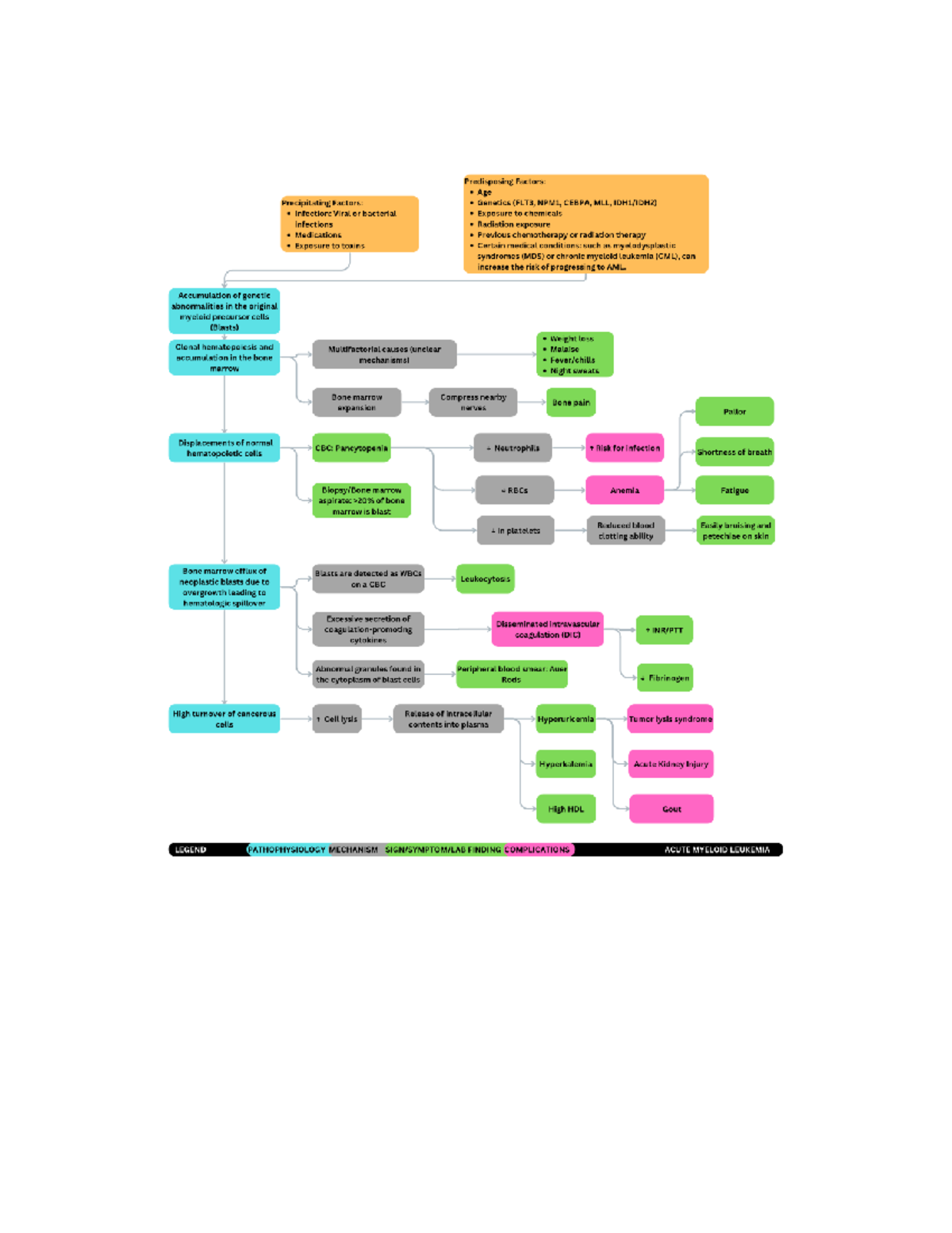 Pathophysiology - A Detailed Breakdown of Acute Myeloid Leukemia (AML ...
