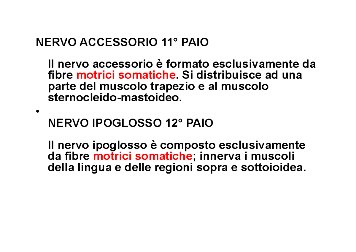 Lezione nervoso e organi di senso II parte - NERVO ACCESSORIO 11° PAIO ...