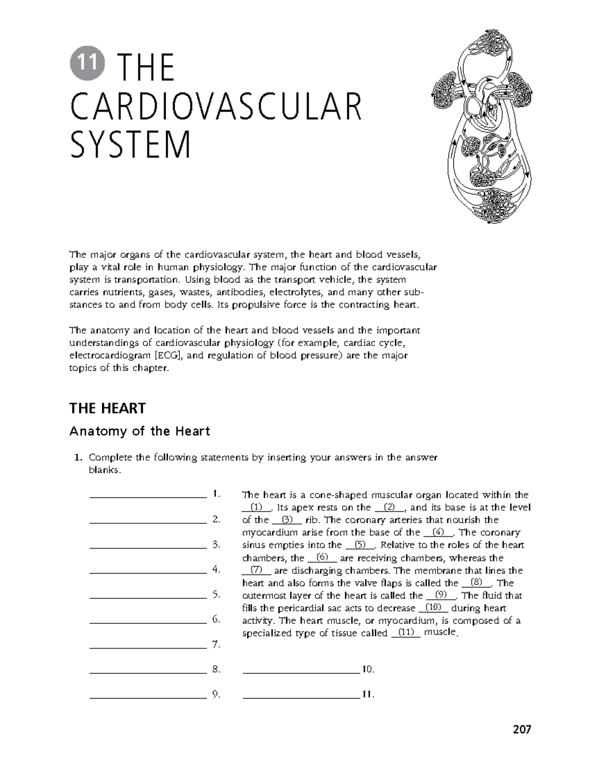 A&P Coloring Book - Heart - The major organs of the cardiovascular ...