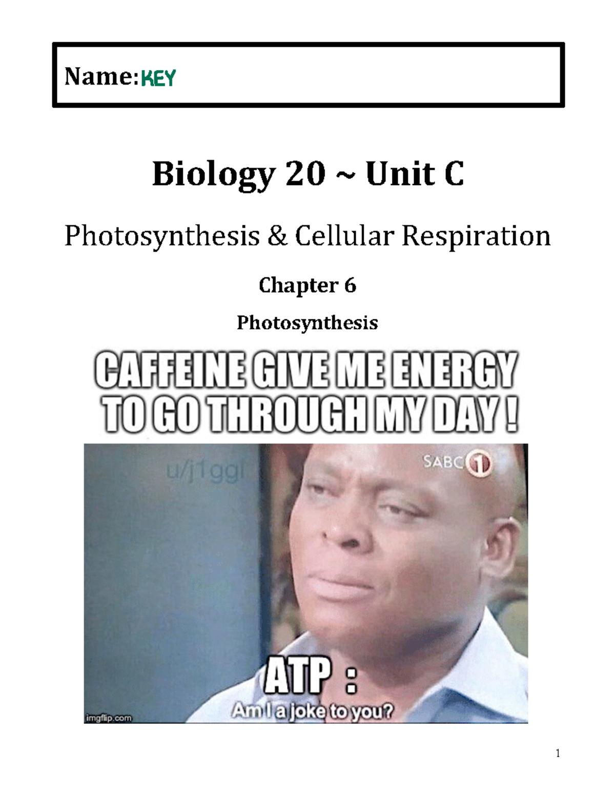 KEY Chapter 6 (Photosynthesis) - Biology 20 ~ Unit C Photosynthesis ...