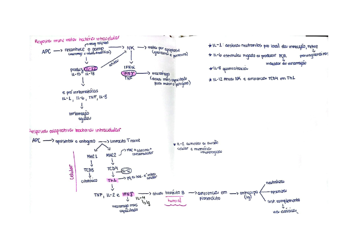 Resposta imune inata bactéria intracelular - Imunologia Clínica - Studocu