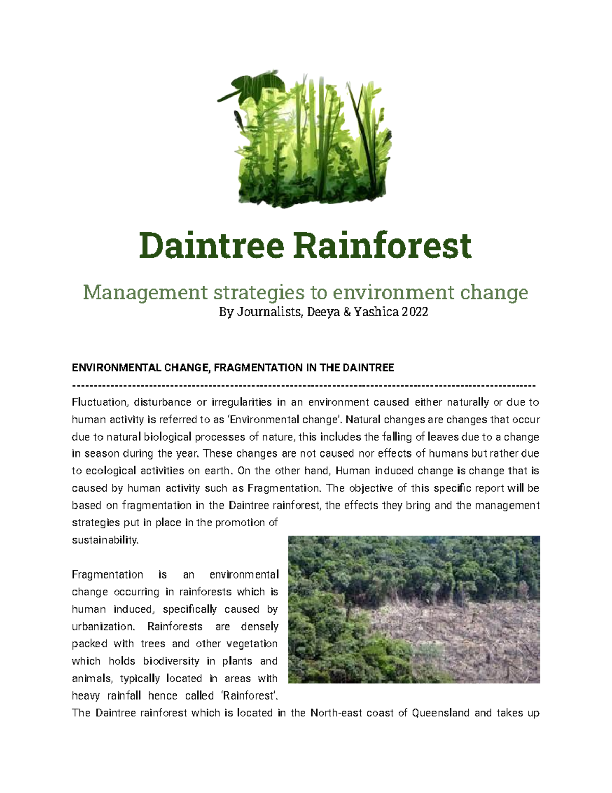 Daintree Rainforest Report - Daintree Rainforest Management strategies ...