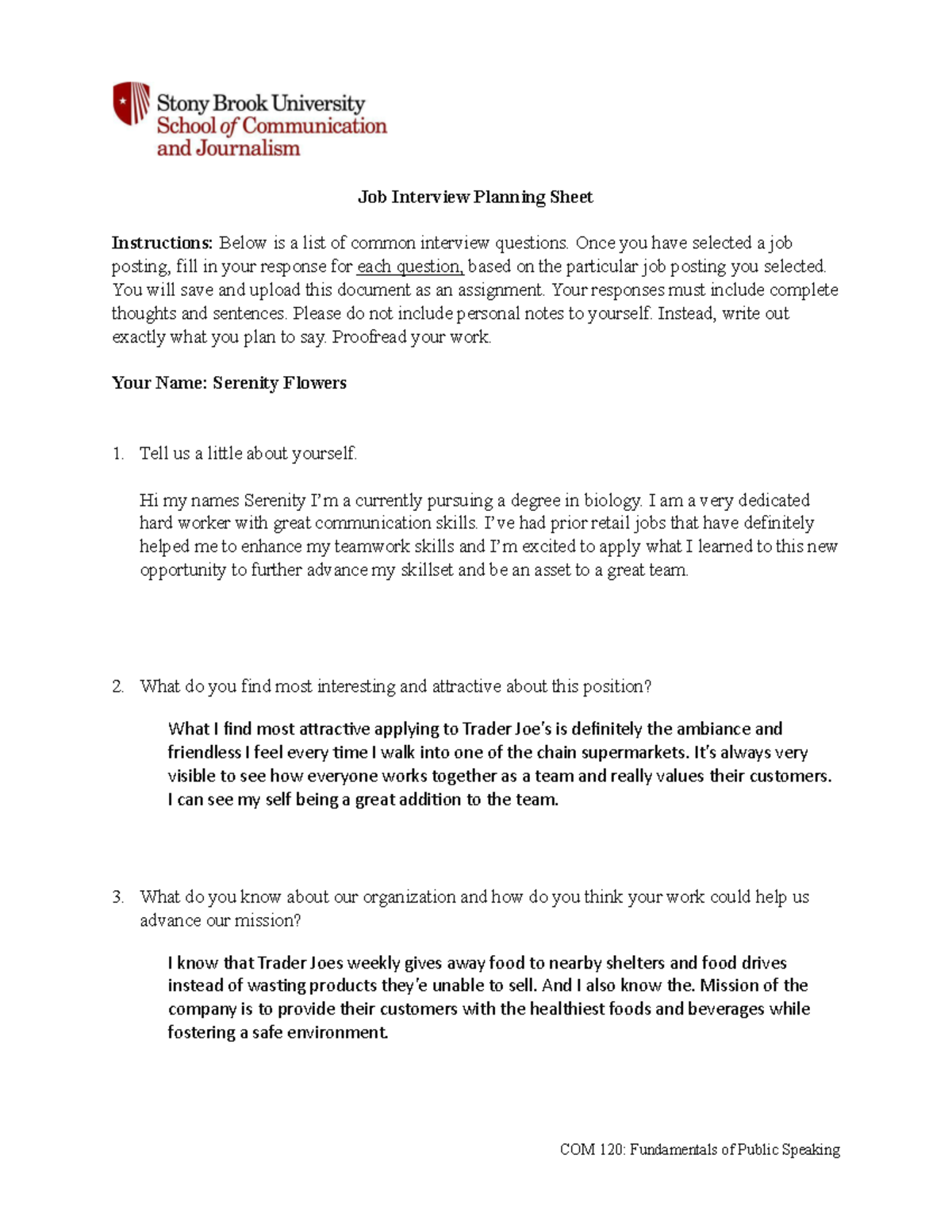 Mock Job Interview Planning Sheet - Job Interview Planning Sheet ...